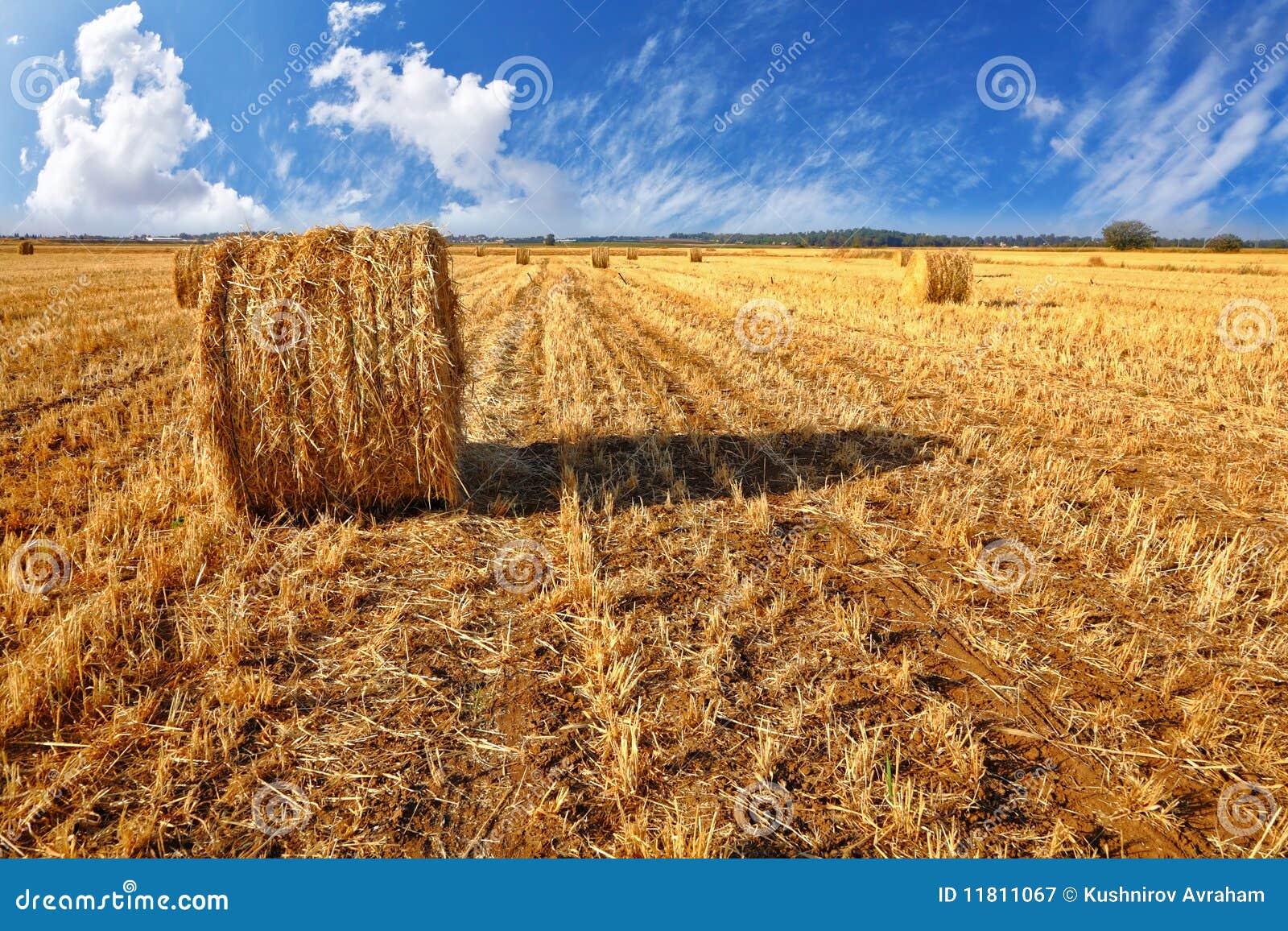 Stacks of the Yellow Grass on a Sunset Stock Image - Image of farm ...