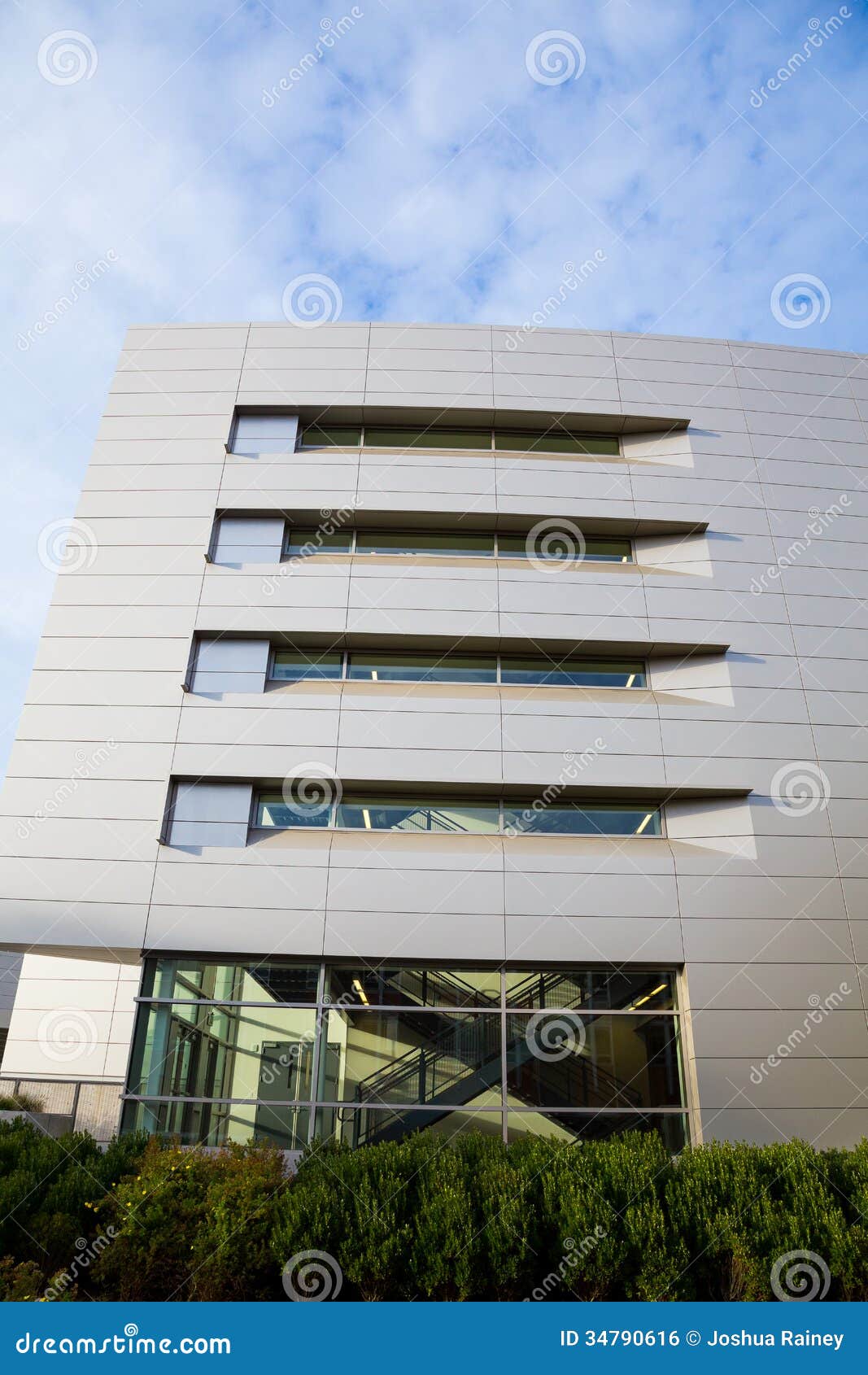 Stadium Abstract Window Architecture Stock Photo - Image of straight ...