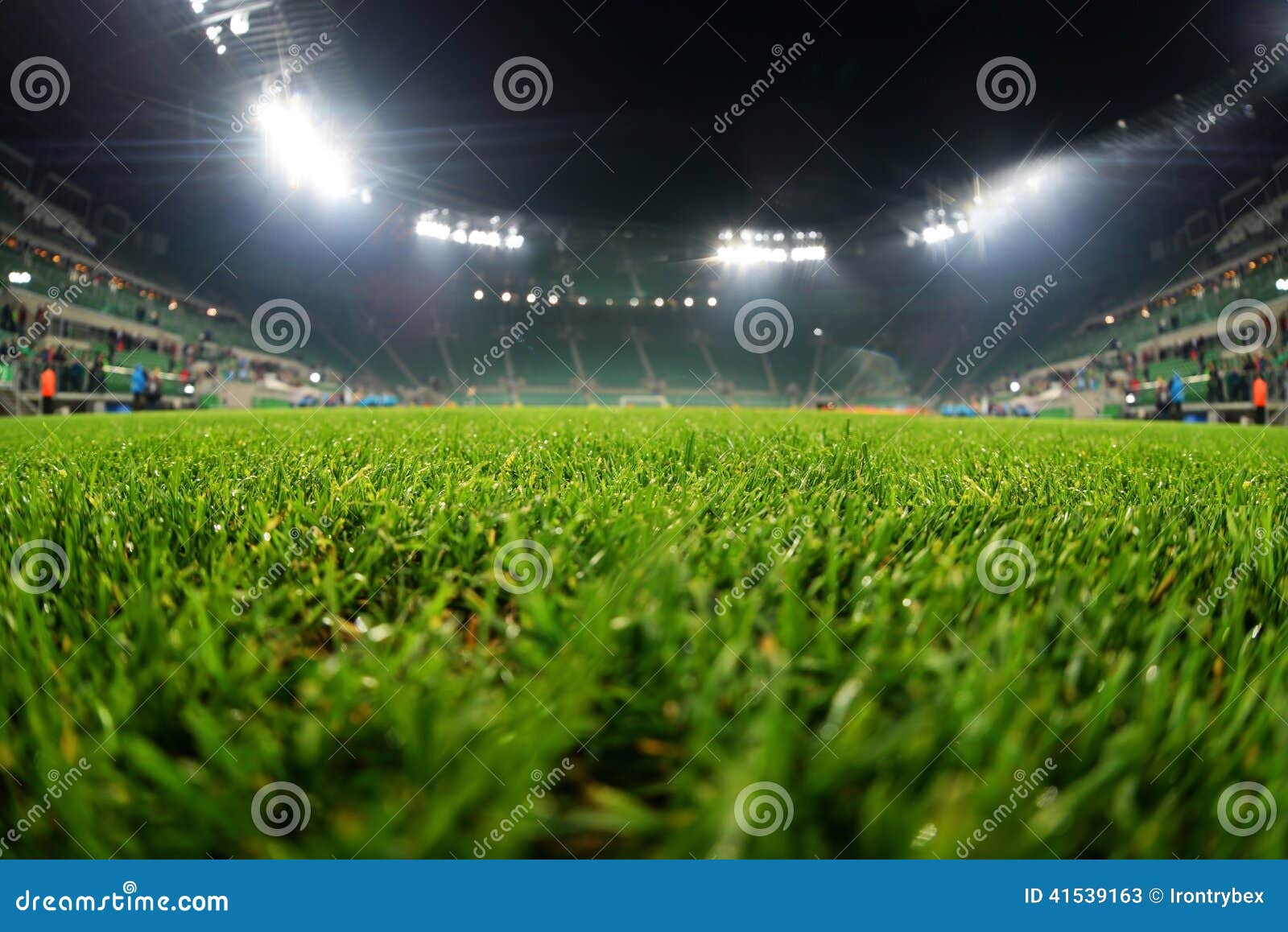 Football Field Grass Up Close