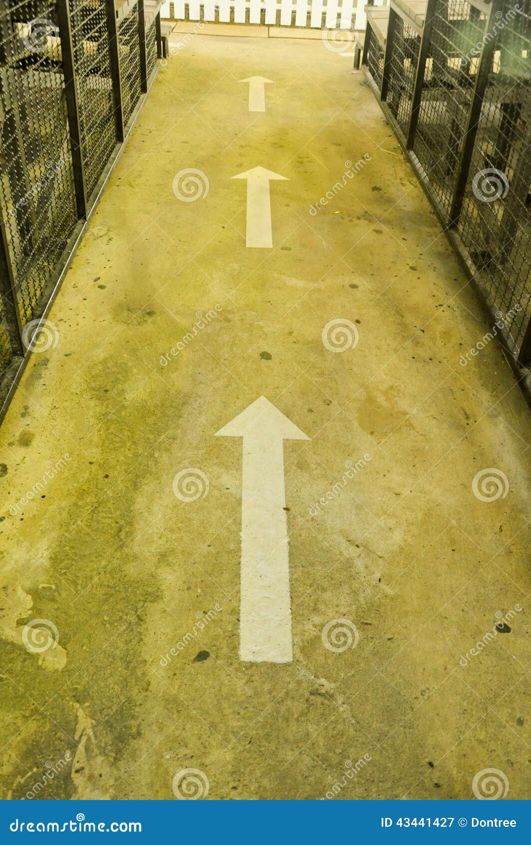 Stadium Exit stock image. Image of exit, abandoned, signs - 43441427