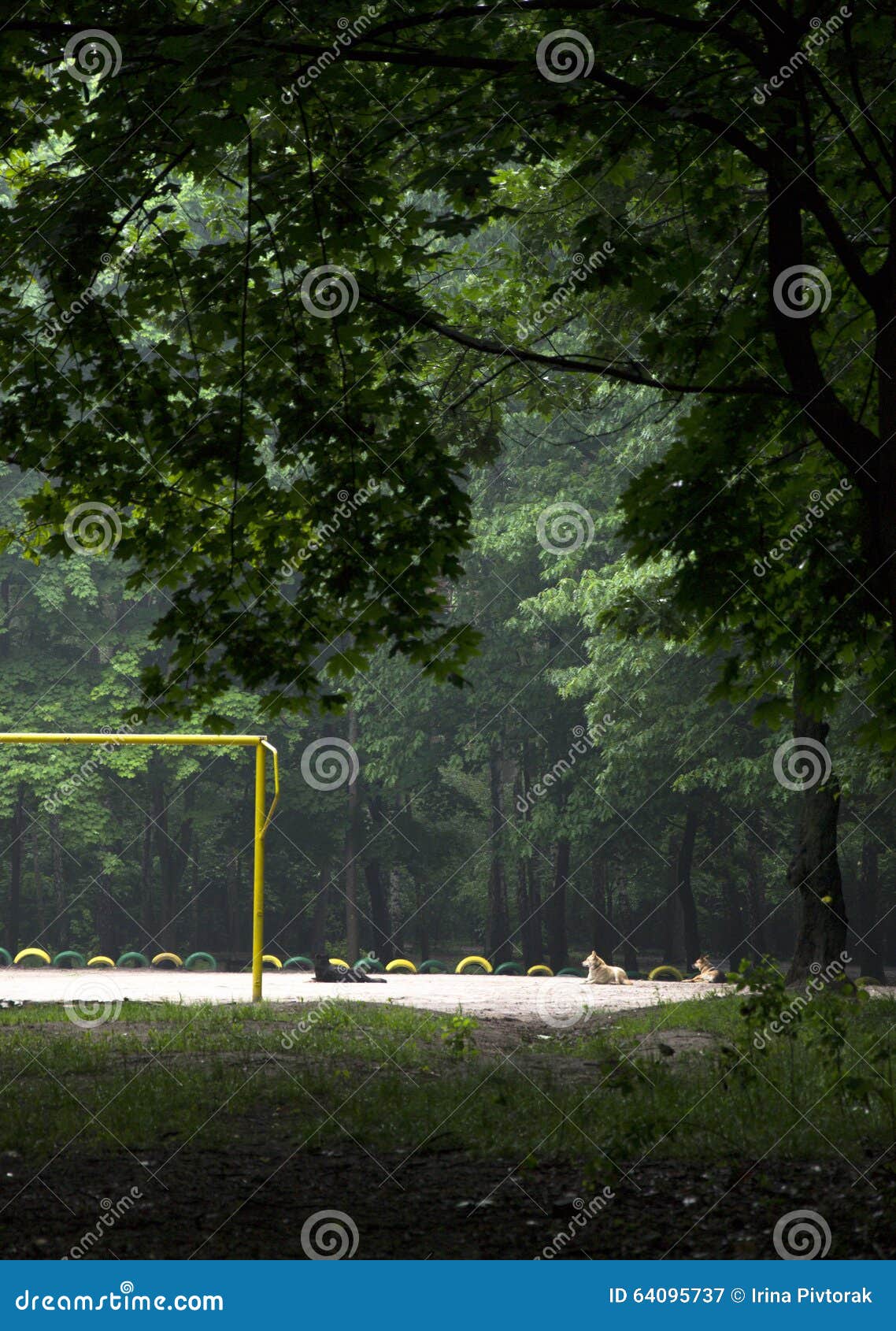 Stadium in the Forest Football Stock Image - Image of forest, gate ...