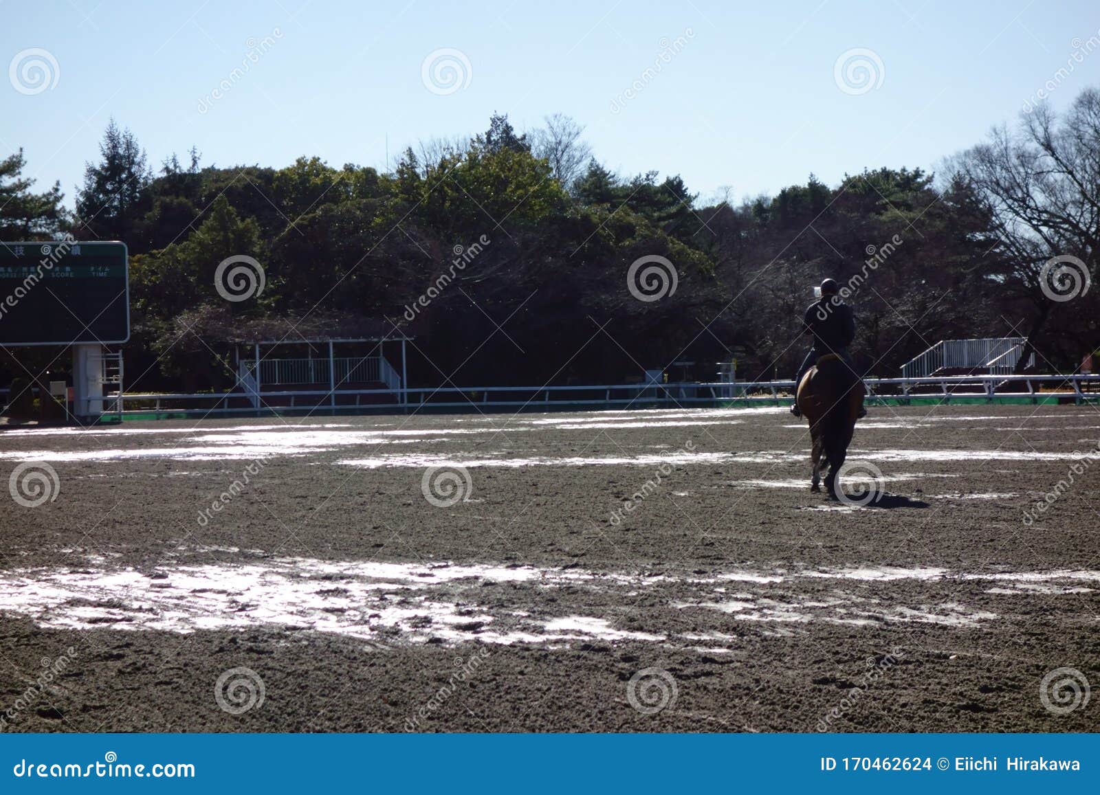 Horse Riding Training and Practice Stock Photo - Image of riding, brown ...