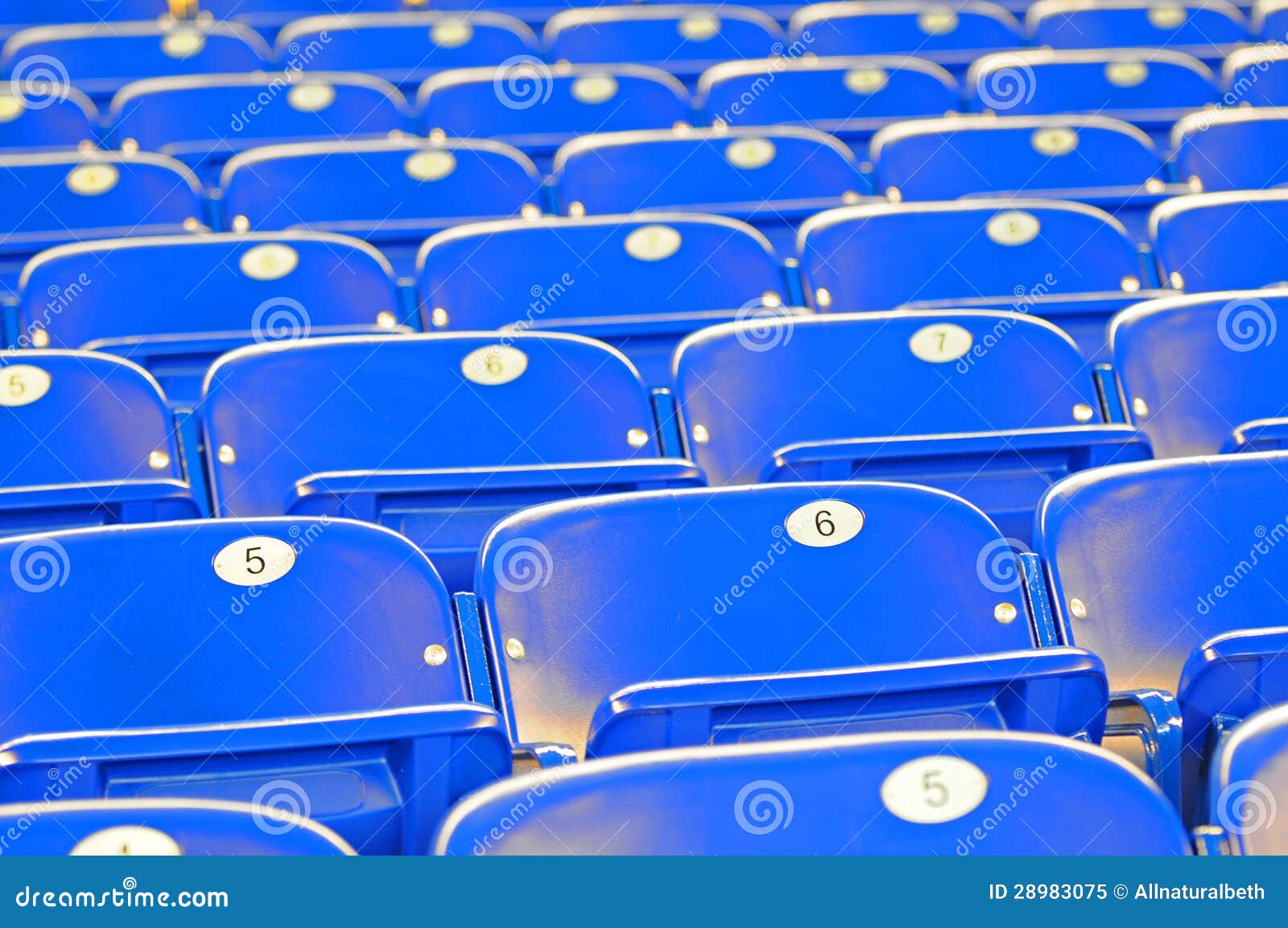 Stadium seating stock image. Image of seat, sports, game - 28983075