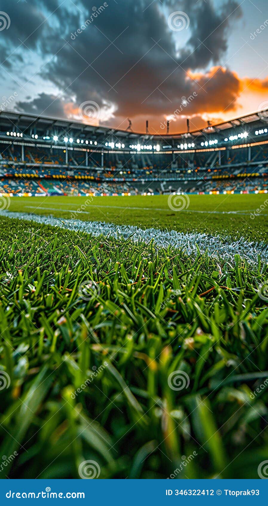 A Lively Stadium Setting Captures the Grassy Field and Vibrant ...