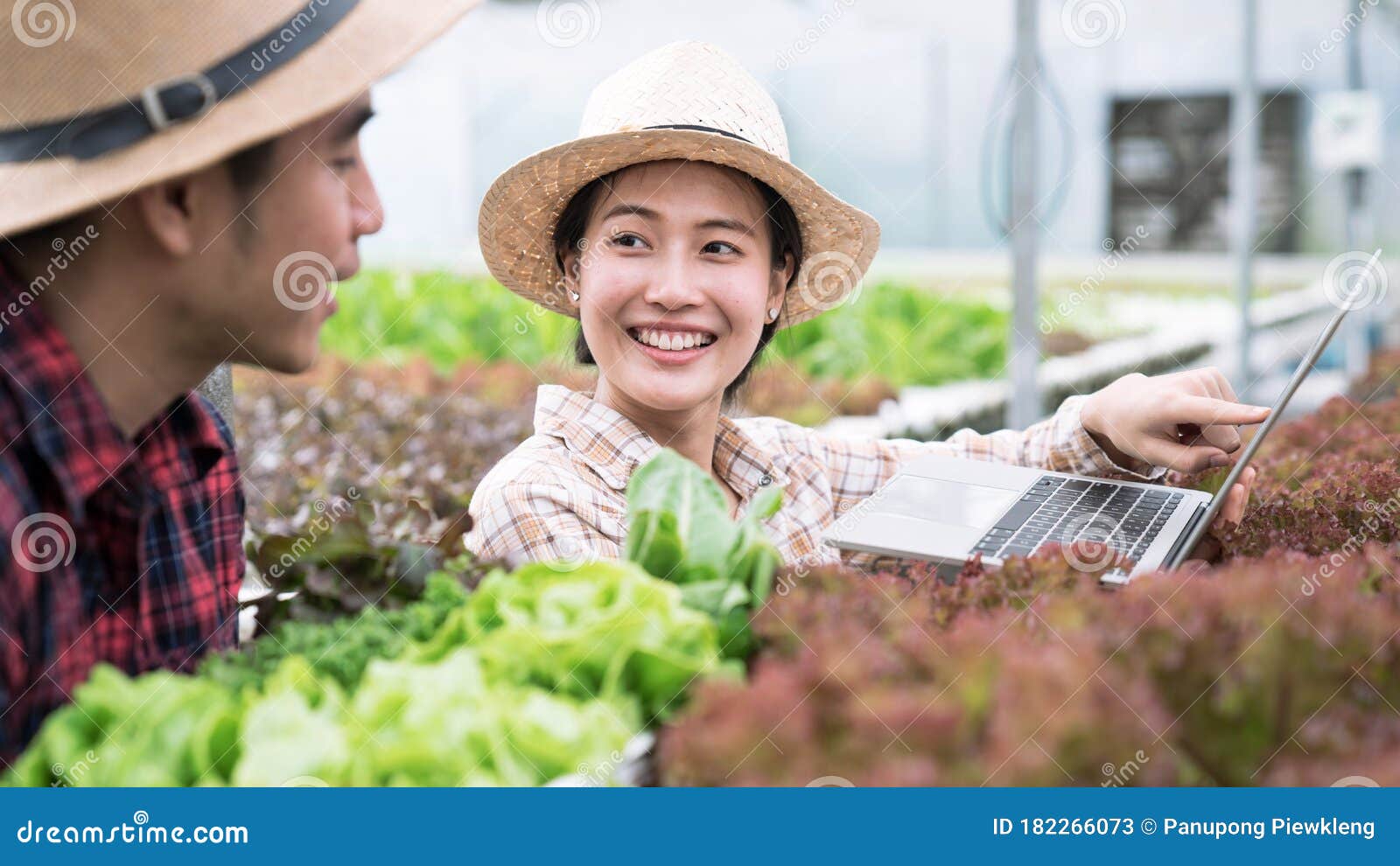 Staff or Gardeners Collect Data and Check the Condition of the ...