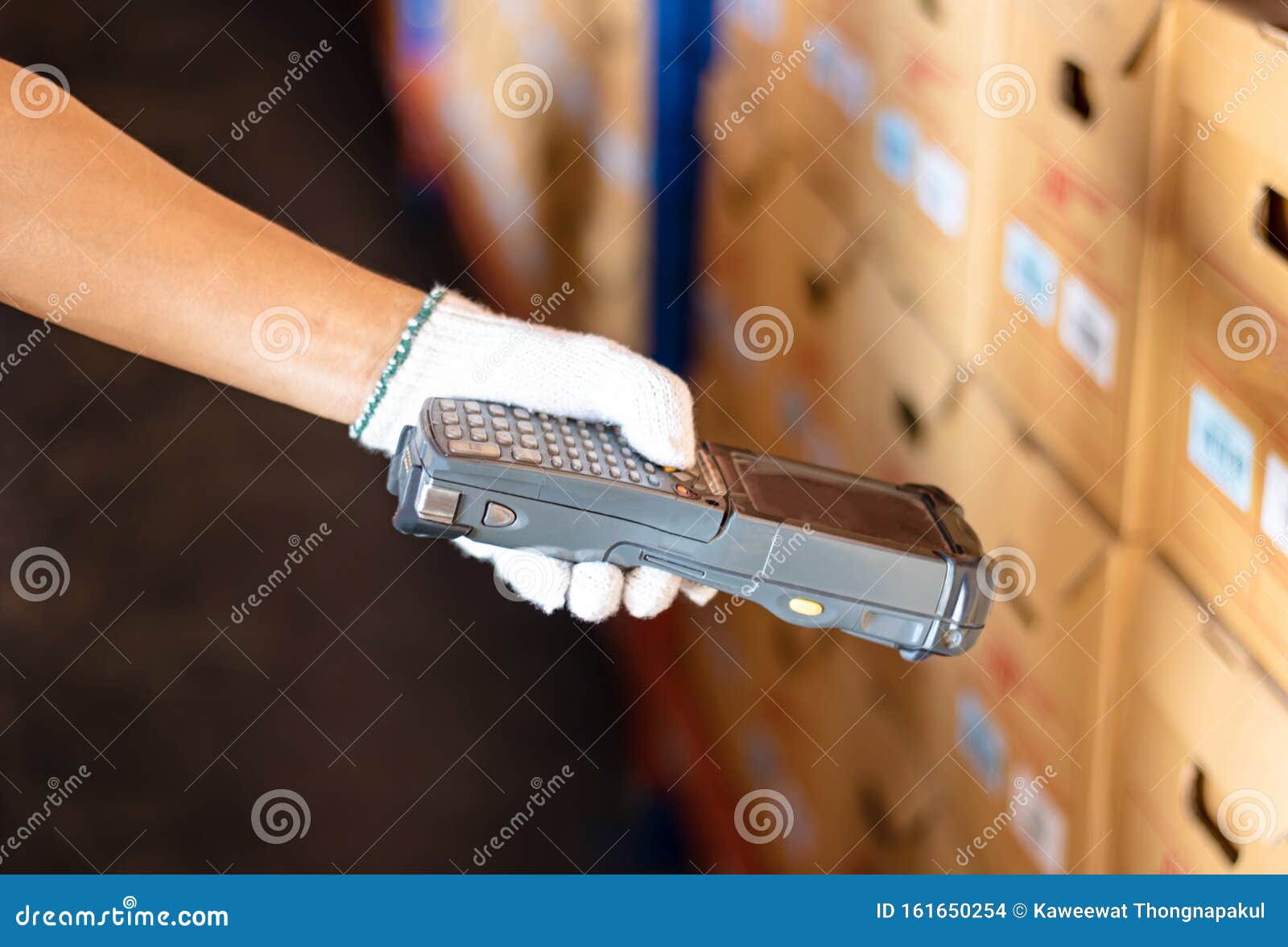 Staff Wearing White Gloves Holding a Barcode Reader. the Product Has a ...
