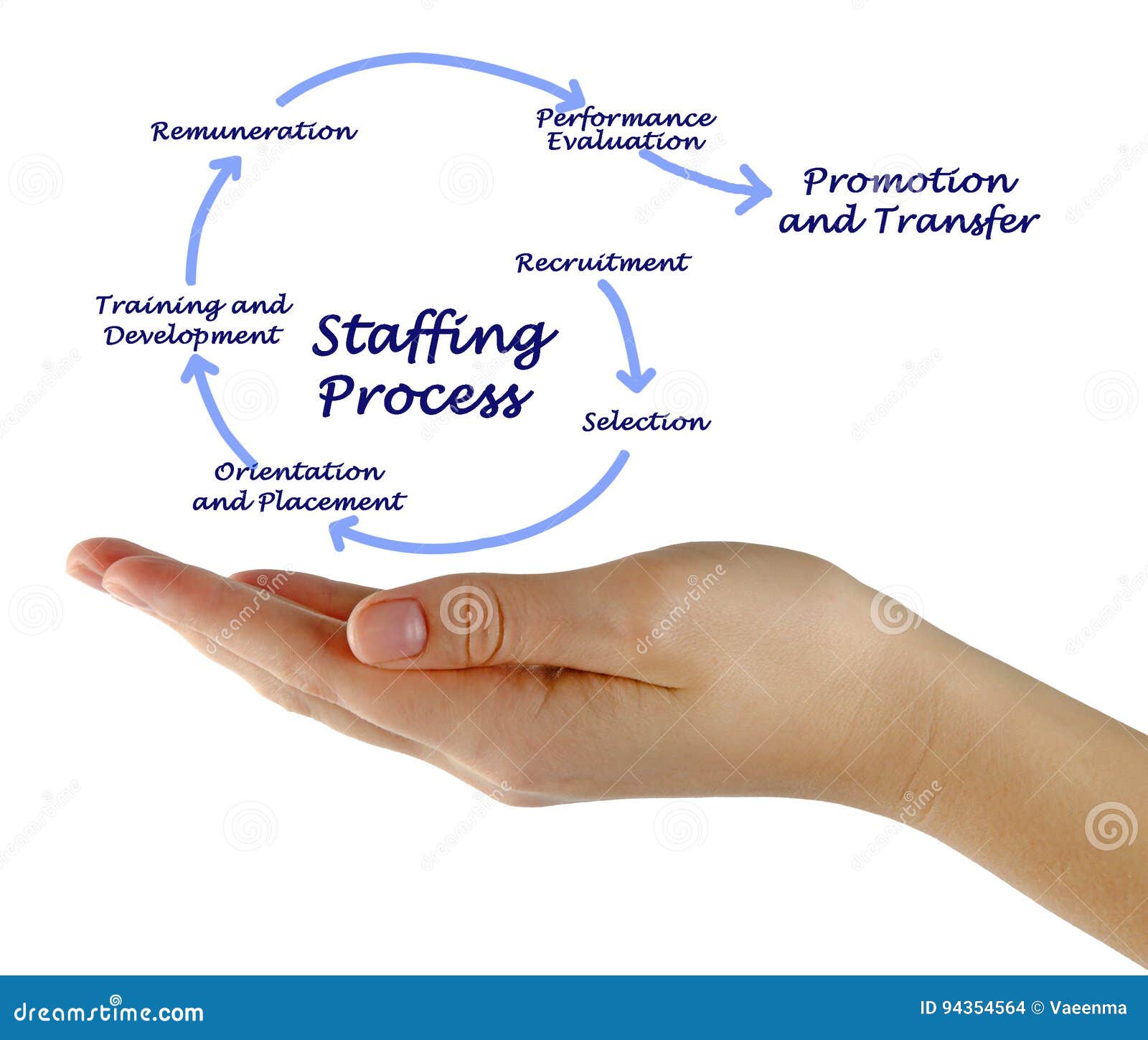 Staffing Process stock photo. Image of lecturer, female - 94354564