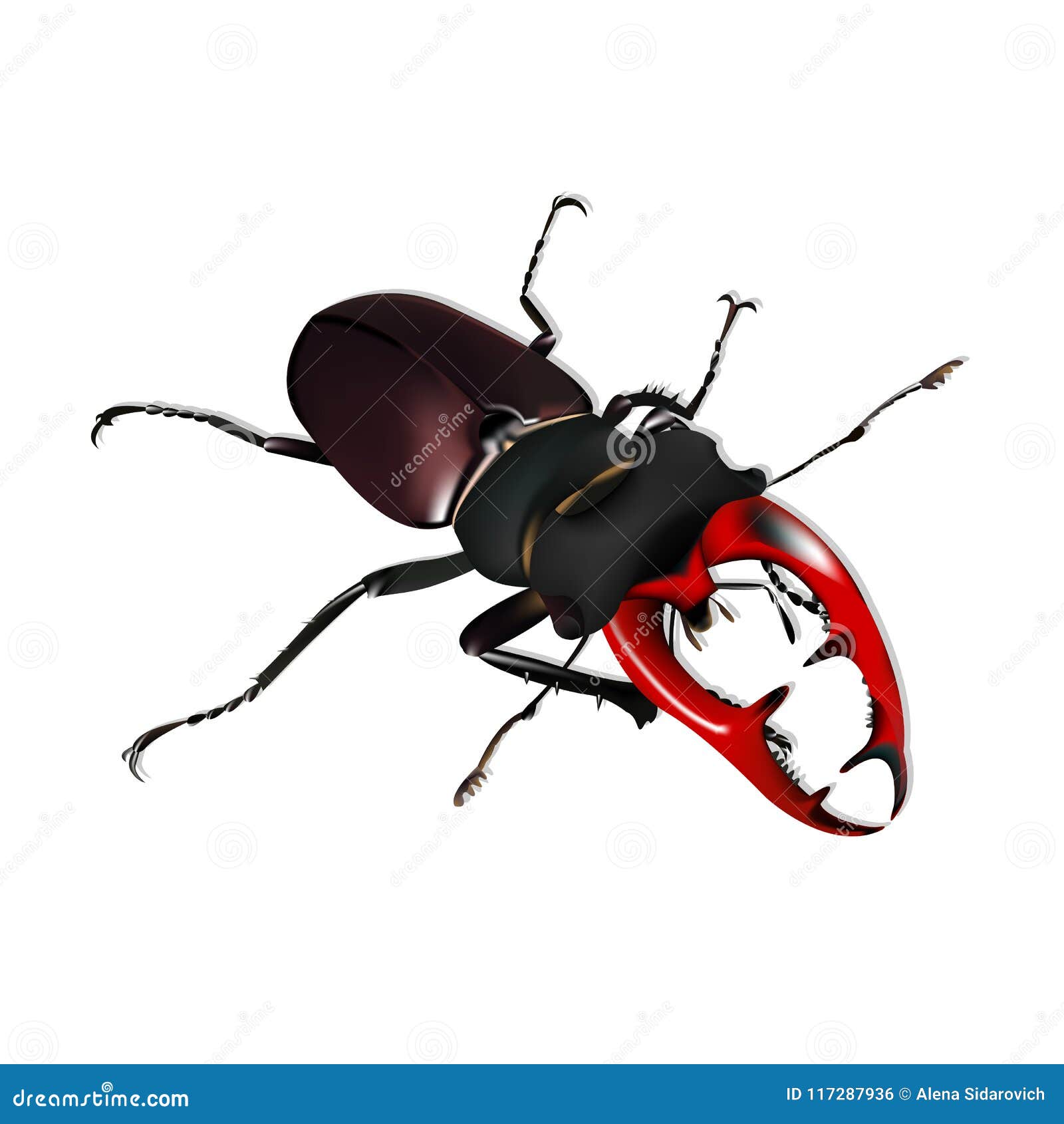 Stag Beetle, Brown Bug on a White Background, Realistic Drowing, Gradient Stock Vector ...
