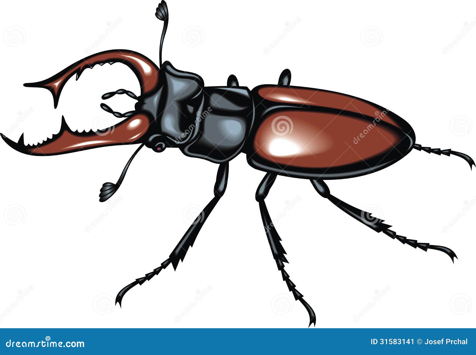 Stag Beetle Hand Draw Vintage Engraving Style Black And White Clipart ...