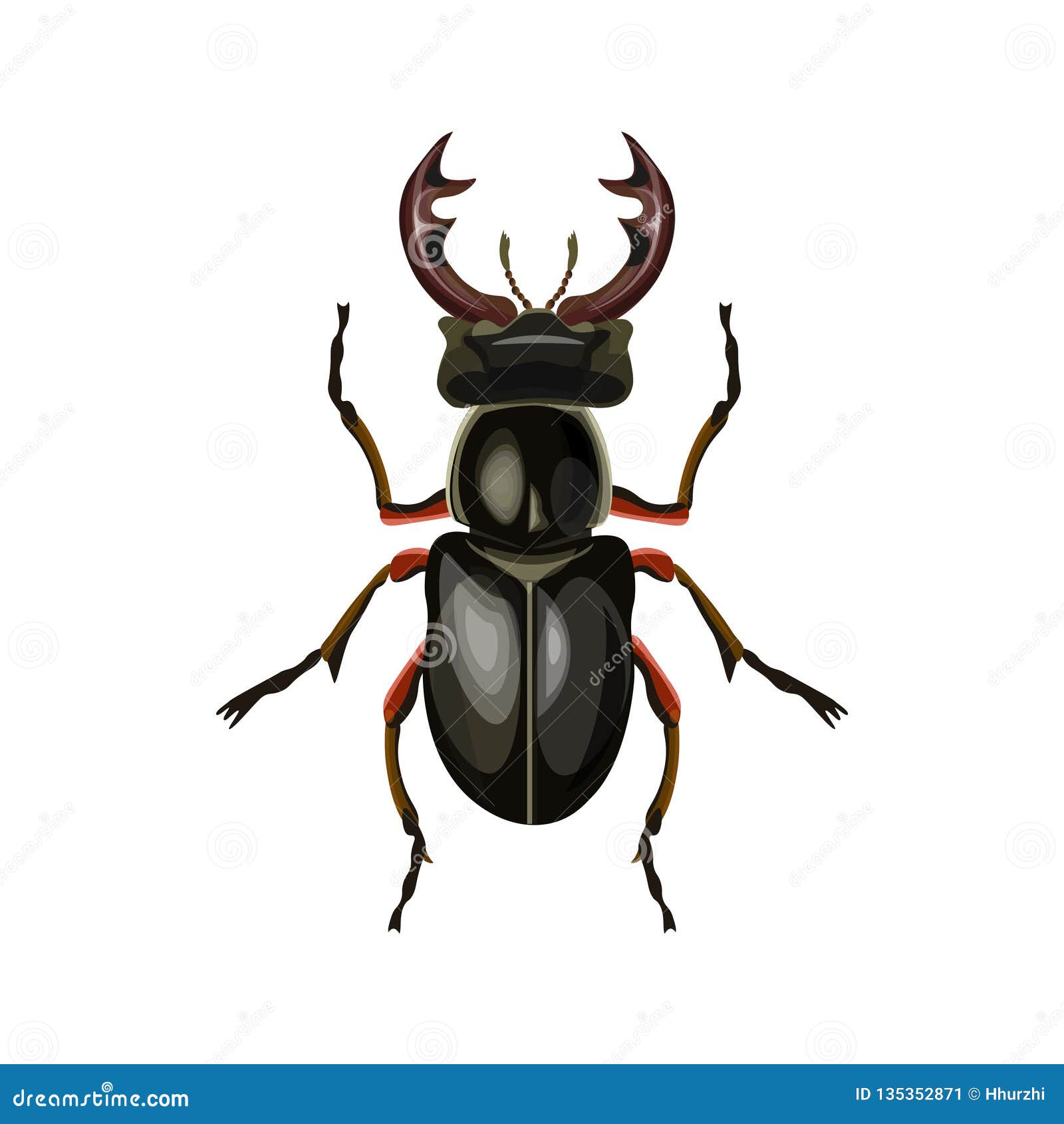 Stag beetle vector stock vector. Illustration of large - 135352871