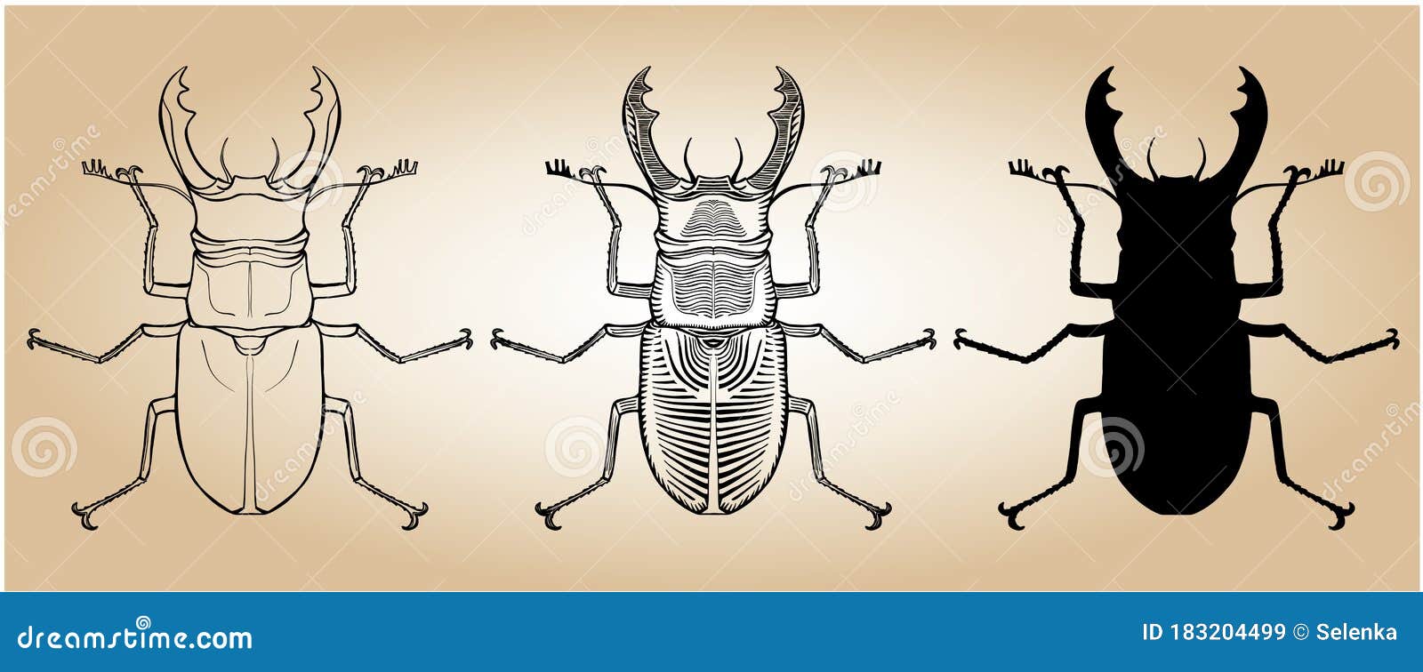 Stag-beetle Vector Illustration Set | CartoonDealer.com #183204499