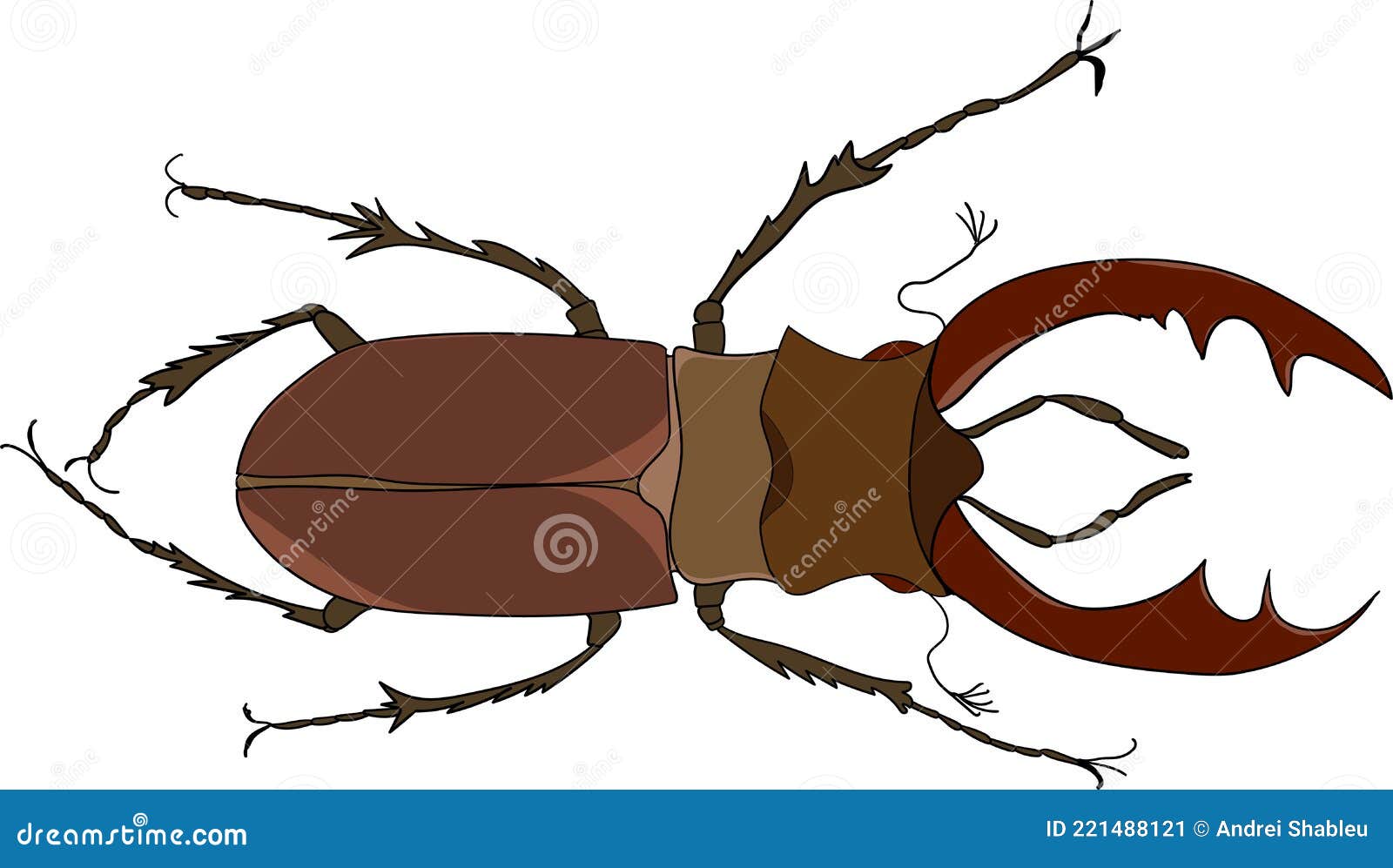 Stag Beetle on a White Background Vector Stock Vector - Illustration of ...