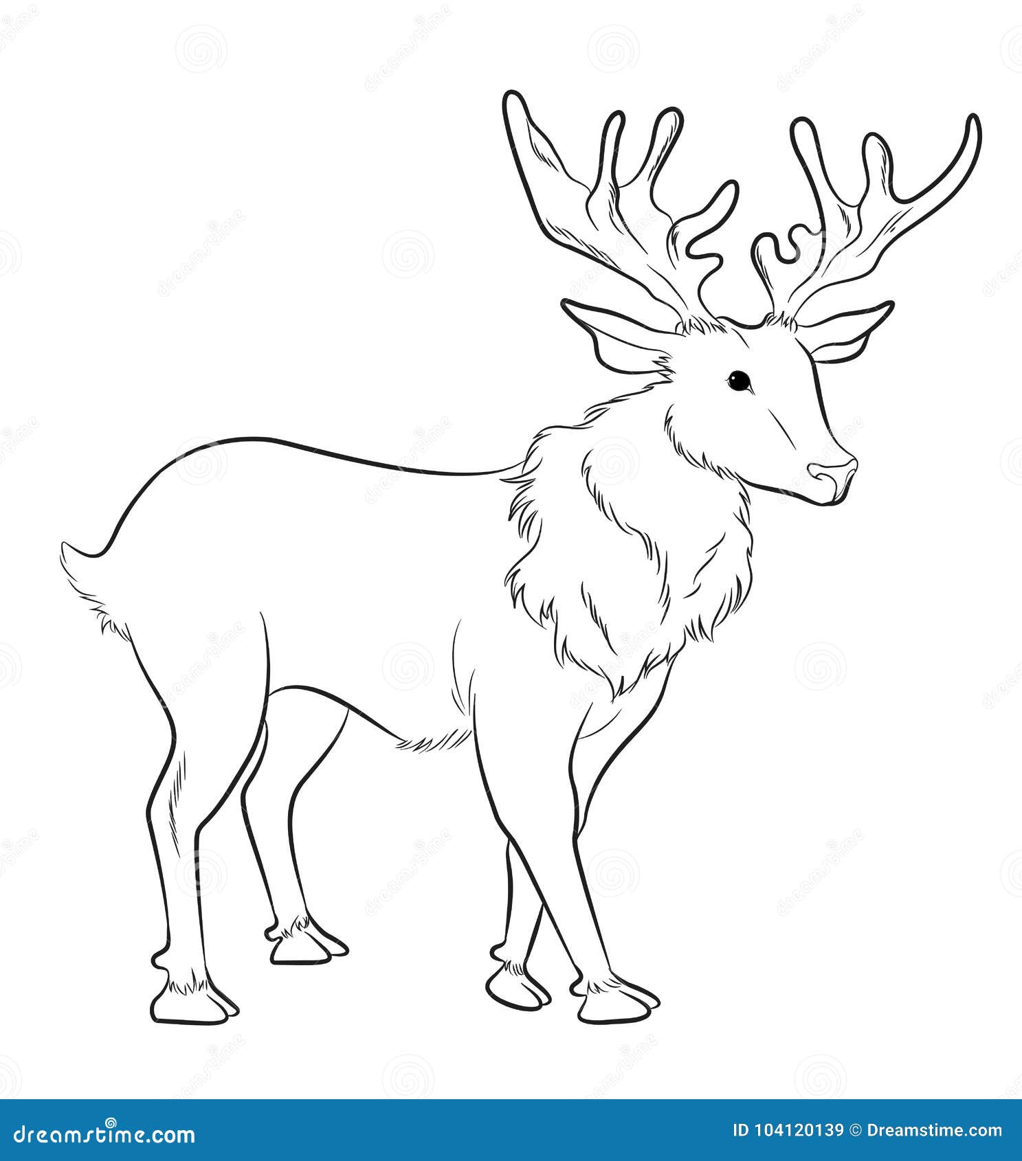 Stag Drawing Vector Illustration Stock Vector - Illustration of sign ...