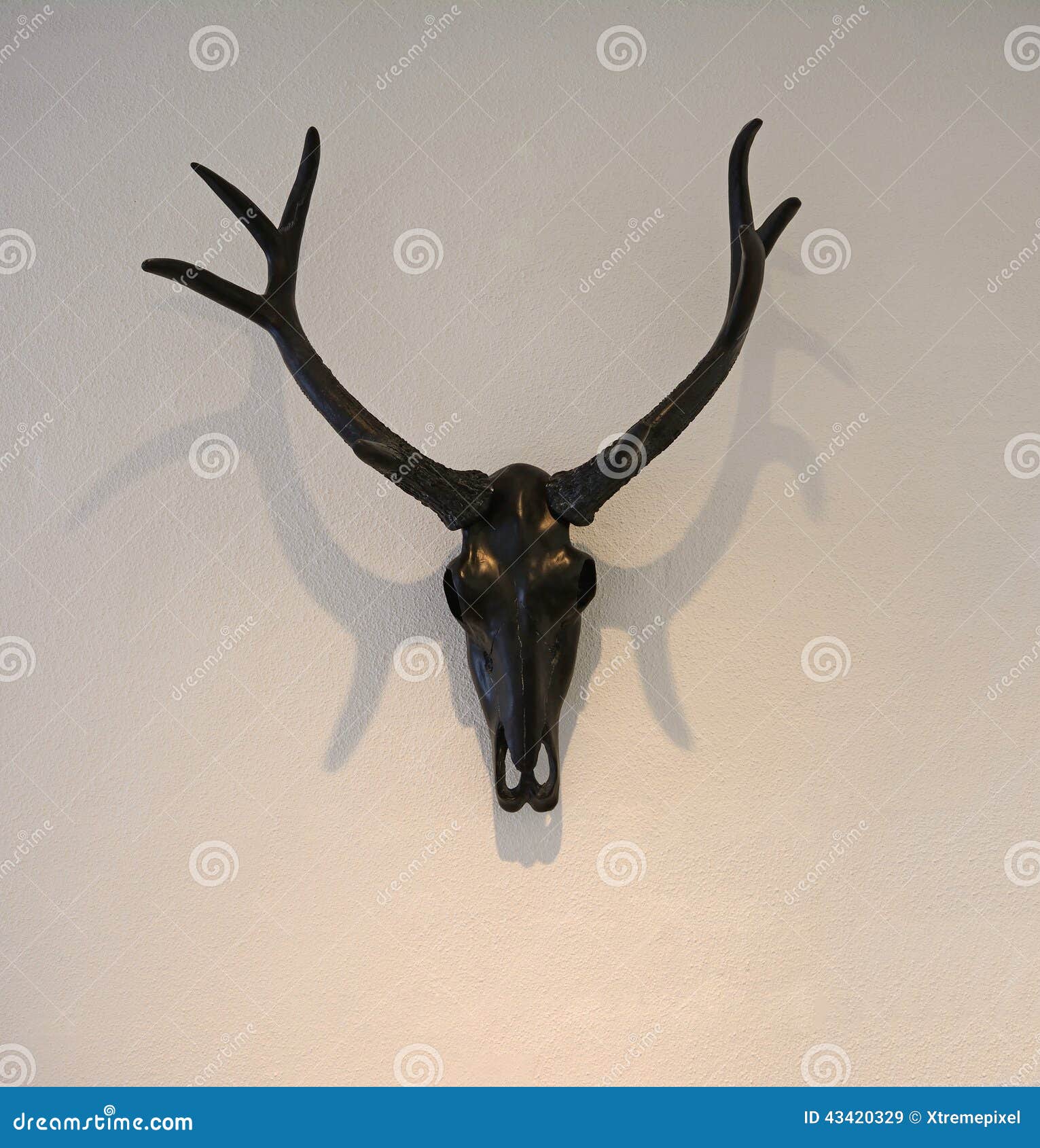 Stag horns stock image. Image of home, stag, trophy, wall - 43420329