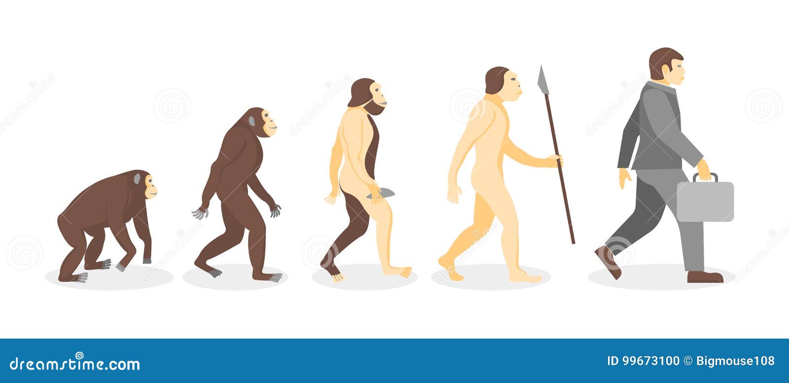 Stage of Human Evolution from Monkey To Businessman. Vector Stock ...