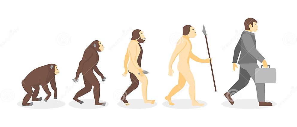 Stage of Human Evolution from Monkey To Businessman. Vector Stock ...