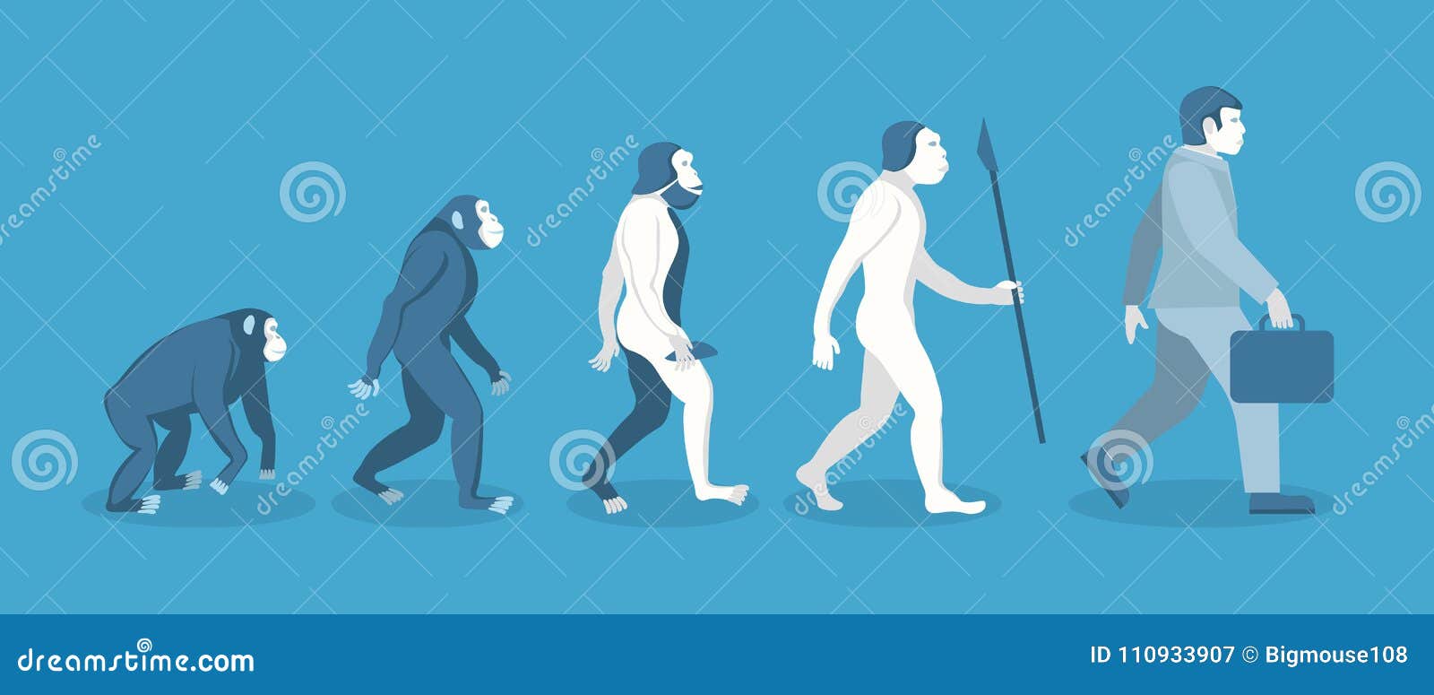Stage of Human Evolution from Monkey To Businessman. Vector Stock ...
