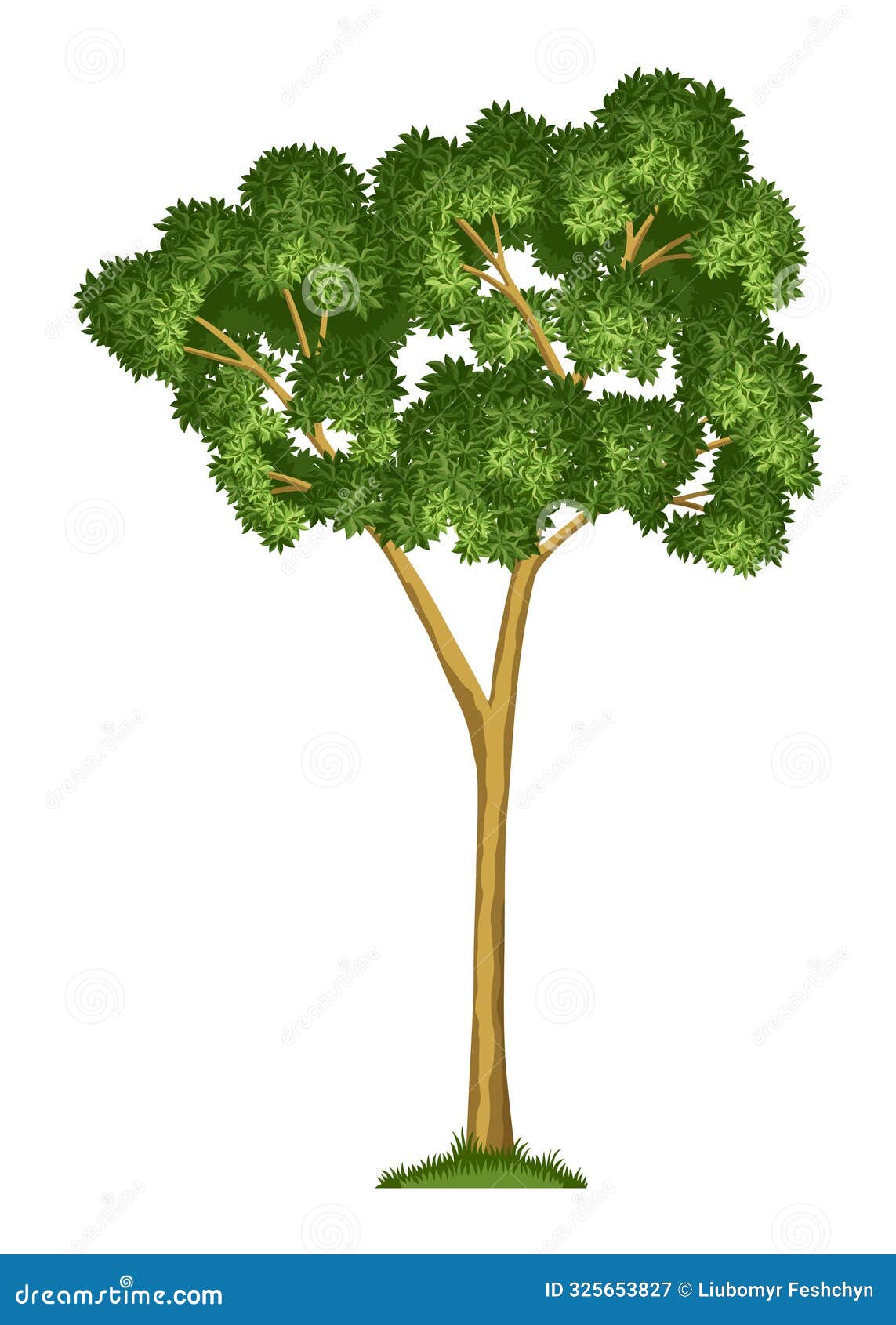 Stage of Tree Growth. Large Tree Growth with Green Leaf and Branches ...