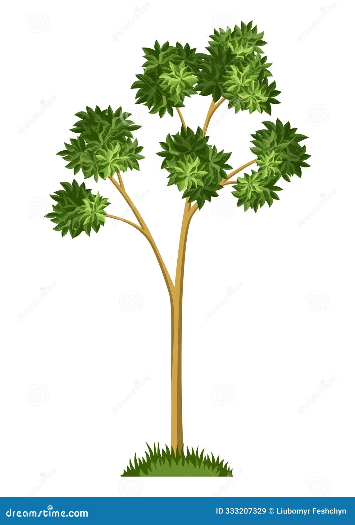 Stage of Tree Growth. Large Tree Growth with Green Leaf and Branches ...