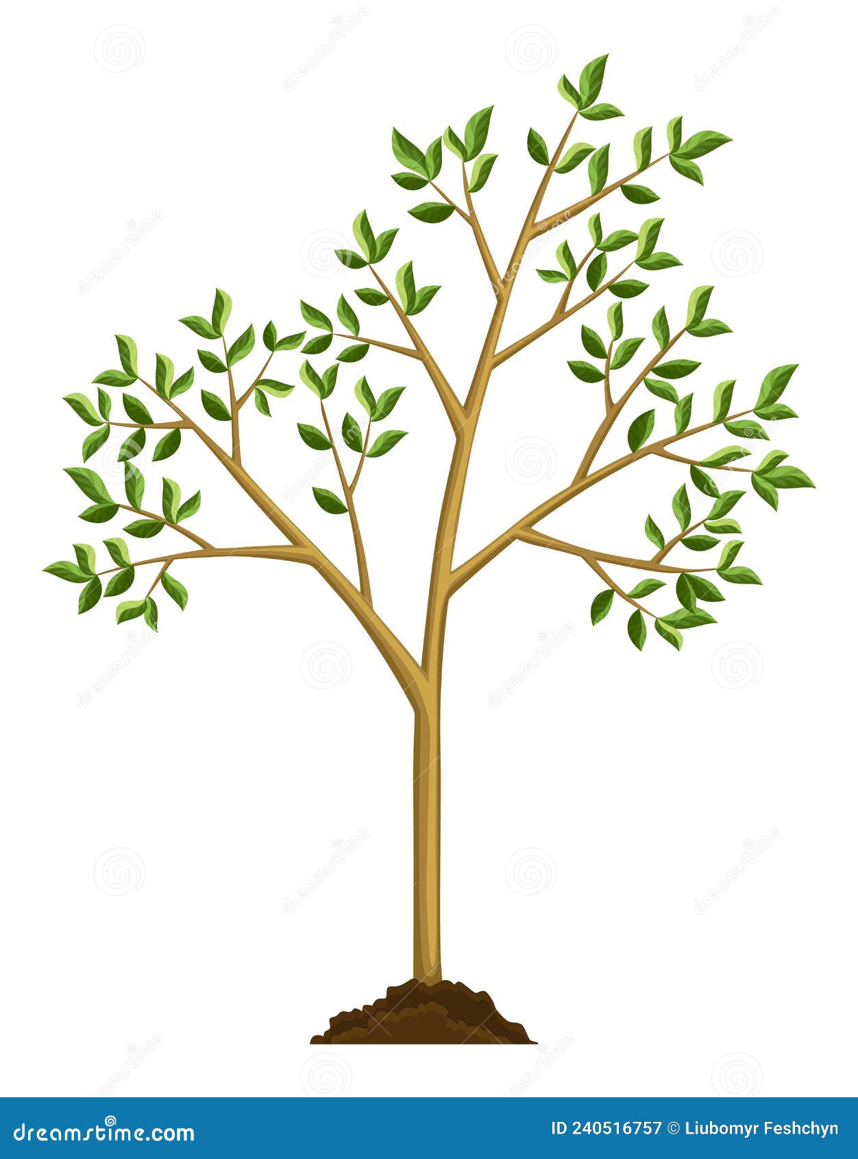 Stage of Tree Growth. Large Tree Growth with Green Leaf and Branches ...