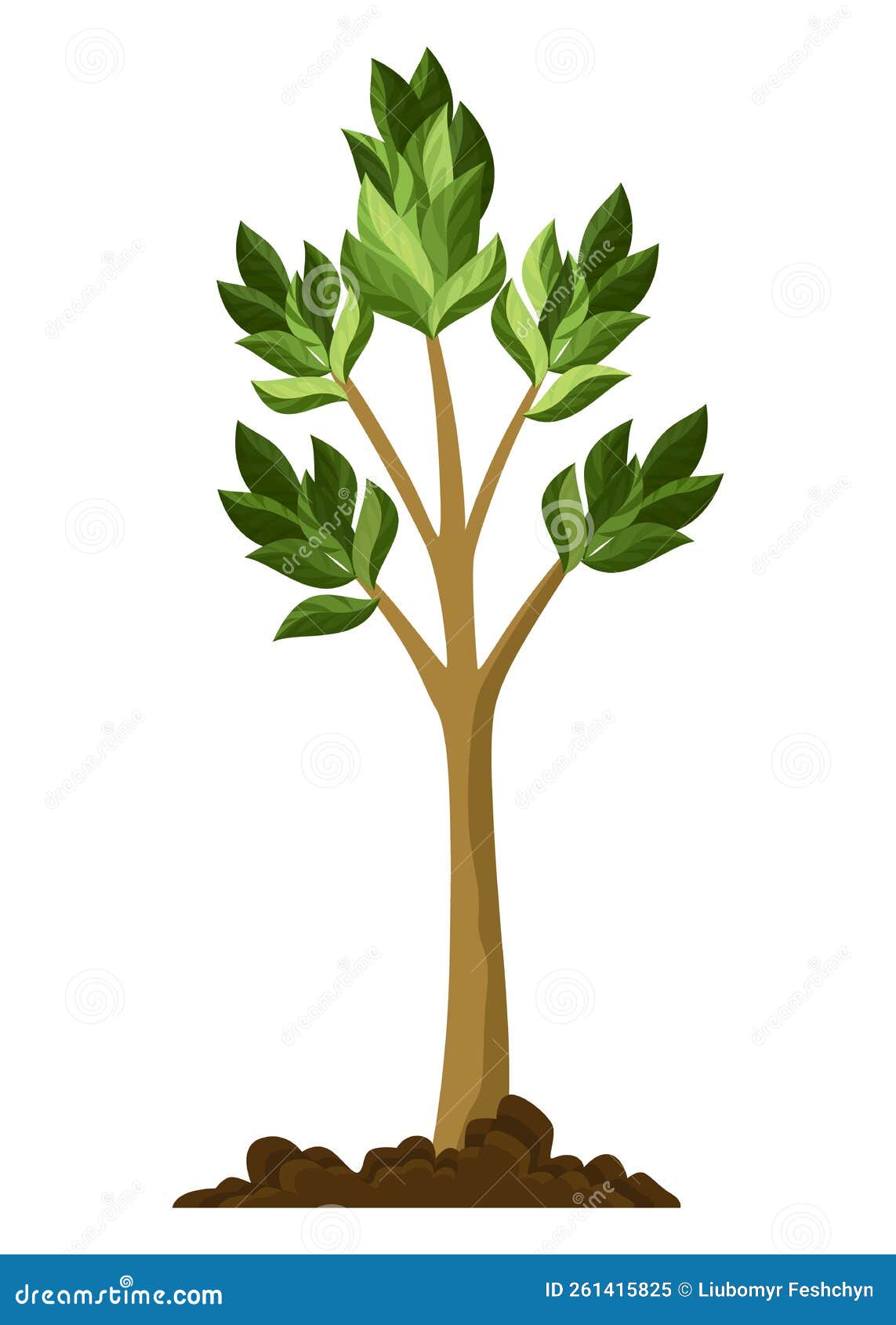 Stage of Tree Growth. Small Tree Growth with Green Leaf and Branches ...