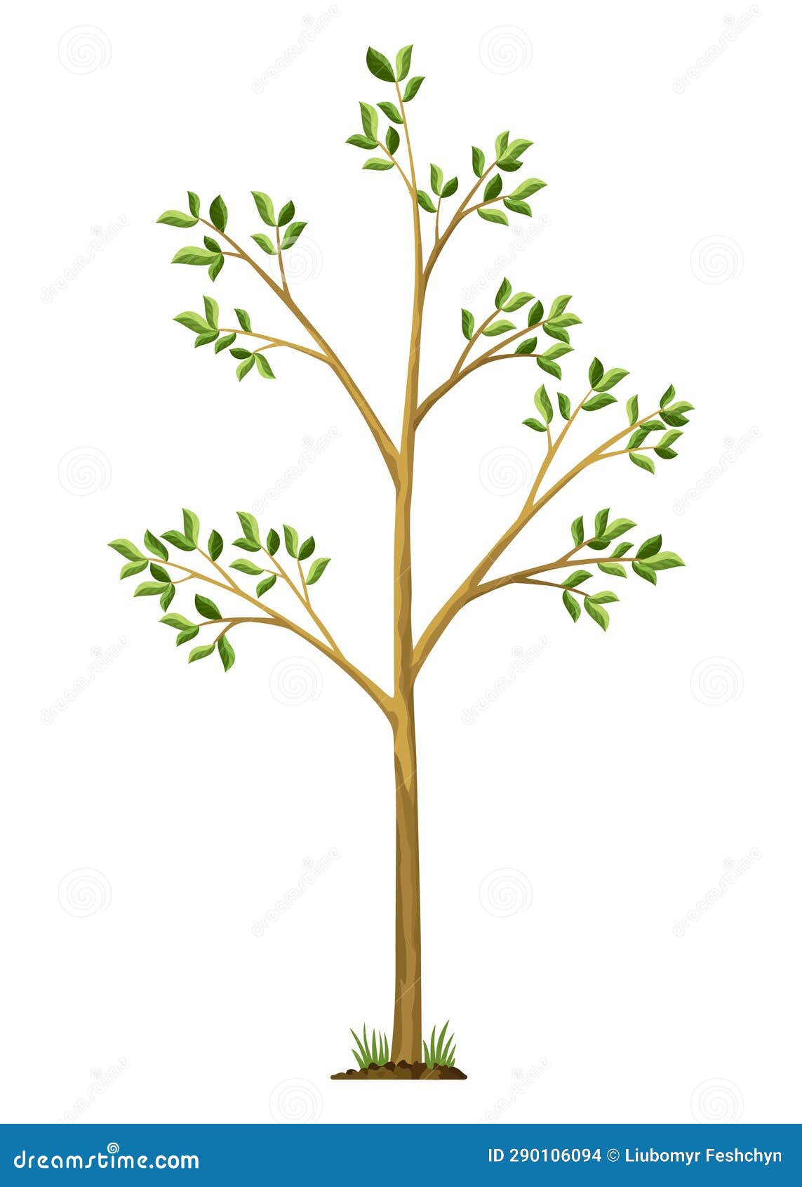 Stage of Tree Growth. Small Tree Growth with Green Leaf and Branches ...