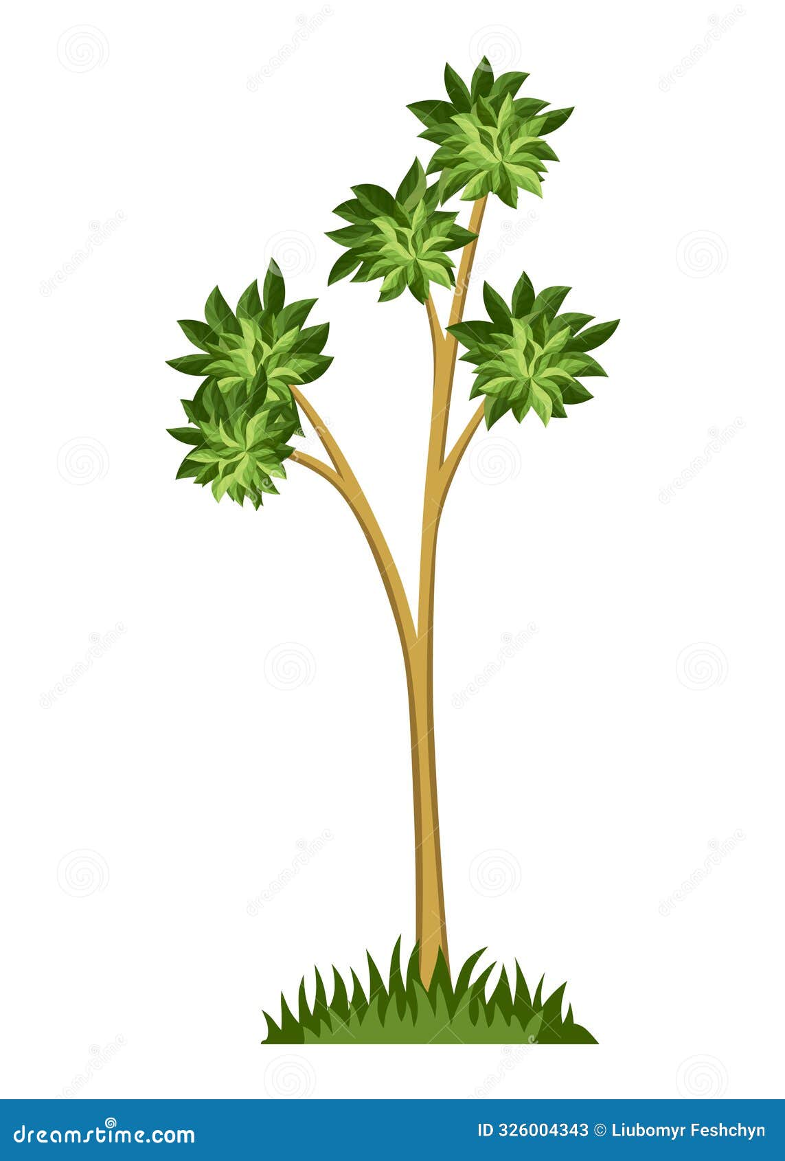 Stage of Tree Growth. Small Tree Growth with Green Leaf and Branches ...