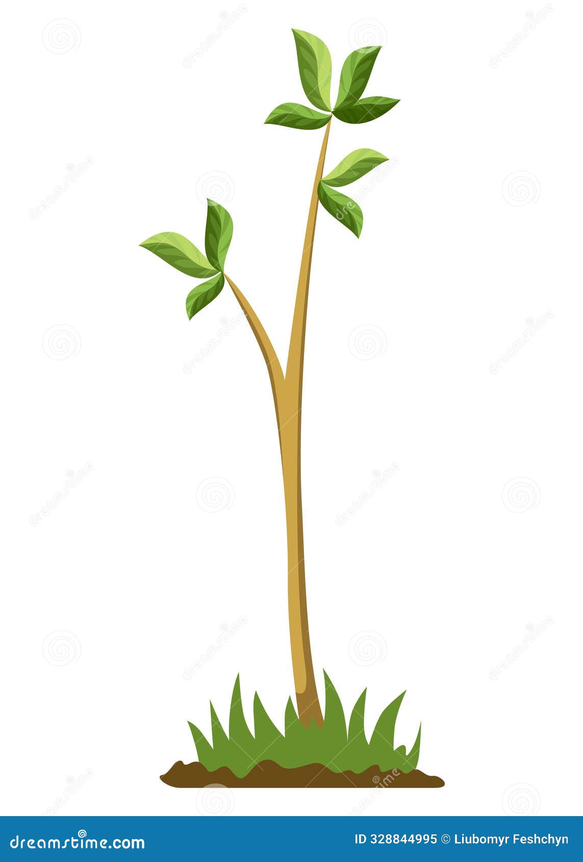 Stage of Tree Growth. Small Tree Growth with Green Leaf and Branches ...