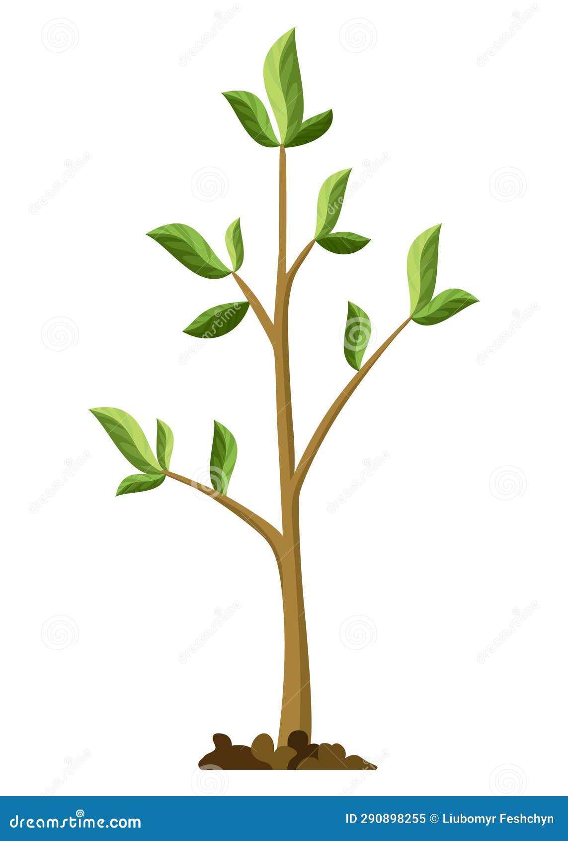 Stage of Tree Growth. Small Tree Growth with Green Leaf and Branches ...