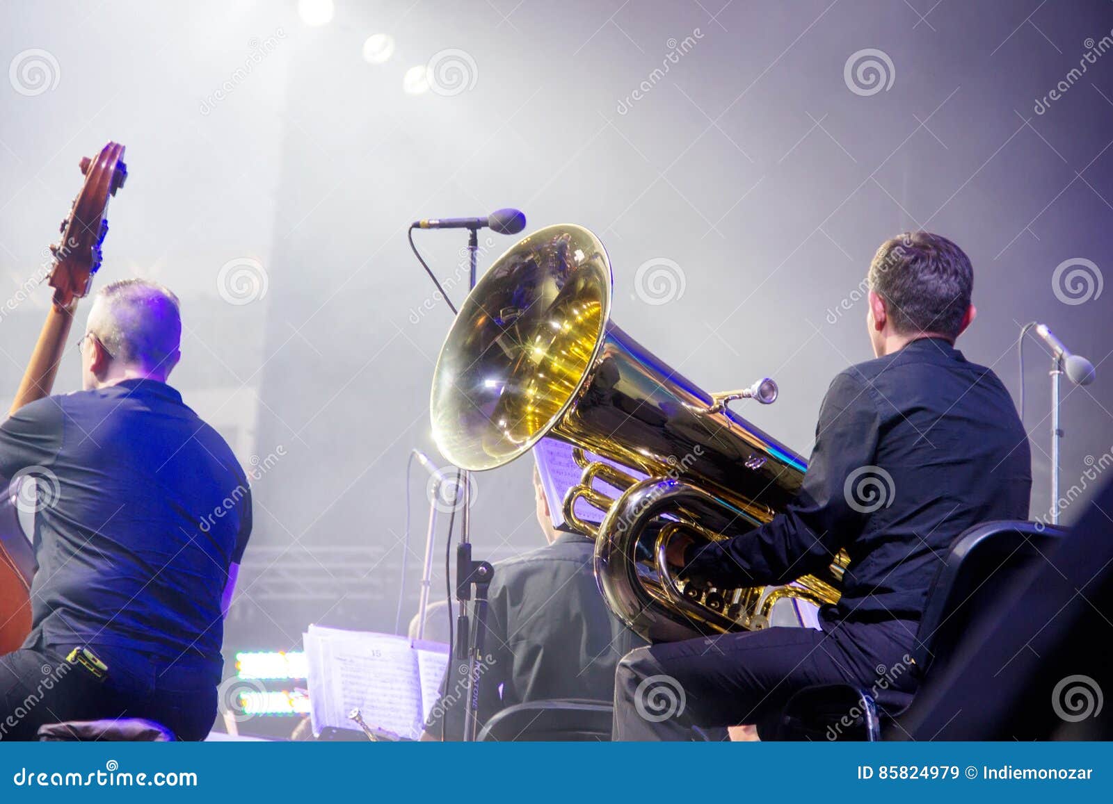 Tuba Players Seen On The Back Editorial Photo | CartoonDealer.com #94941511