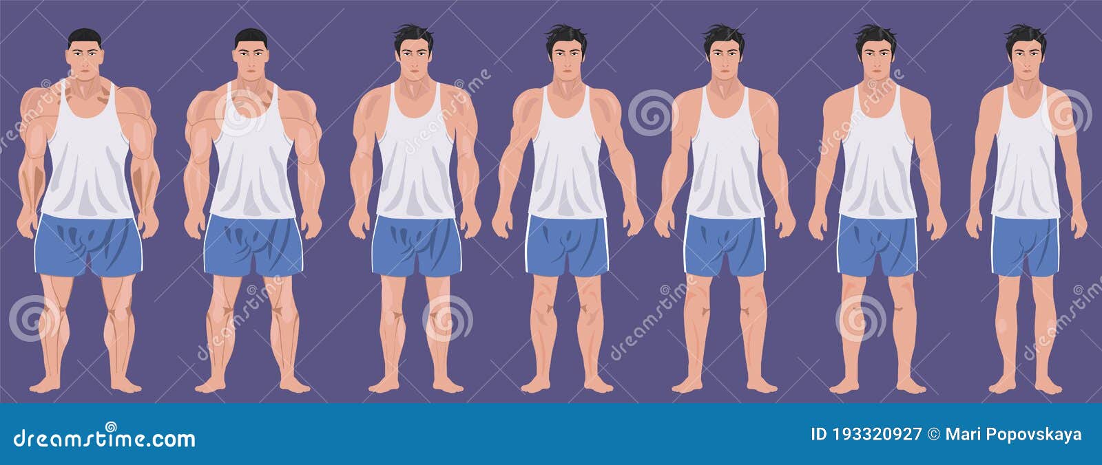 Building Muscle & Fitness Infographics. Cartoon Vector | CartoonDealer ...