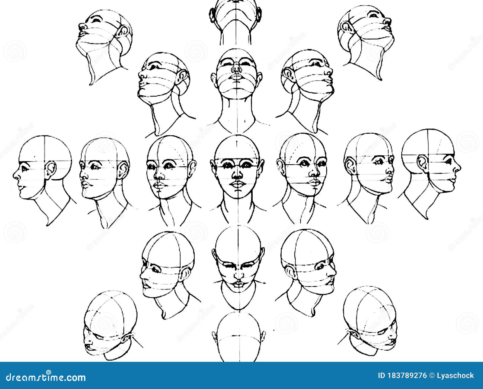 Stages of Drawing Human Head. Illustration of Drawing a Head Stock ...