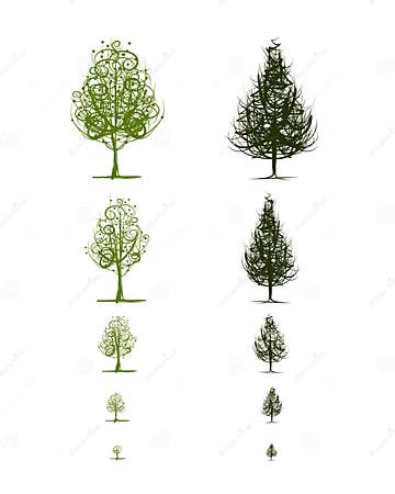 Stages of Growing Tree for Your Design Stock Vector - Illustration of ...