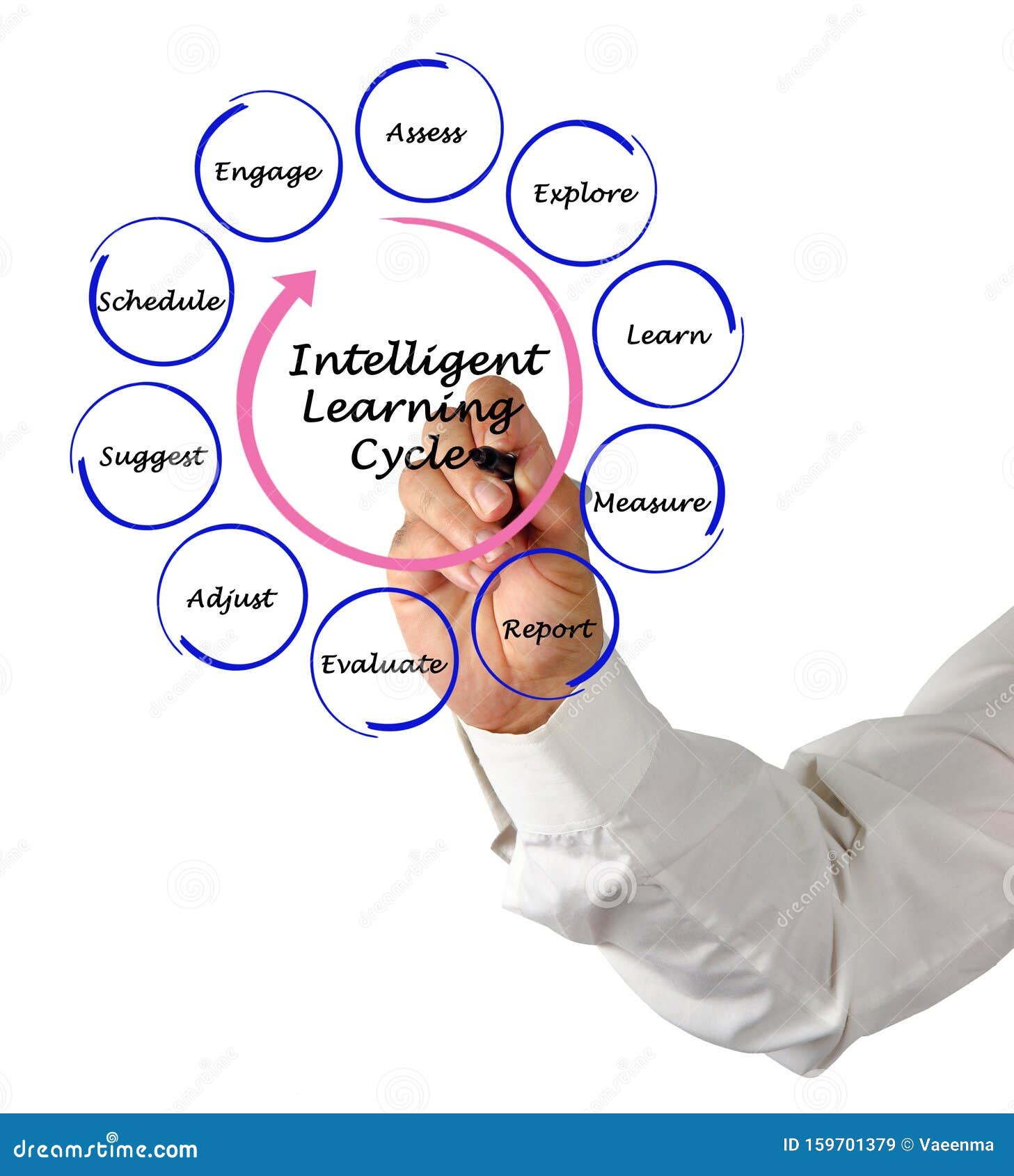 Stages of Intelligent Learning Cycle Stock Image - Image of learning ...