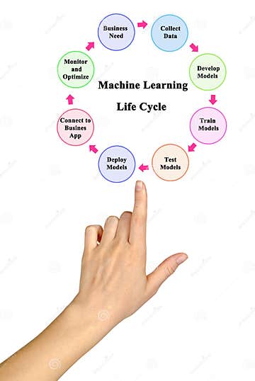 Machine Learning Lifecycle stock photo. Image of pointing - 213240070