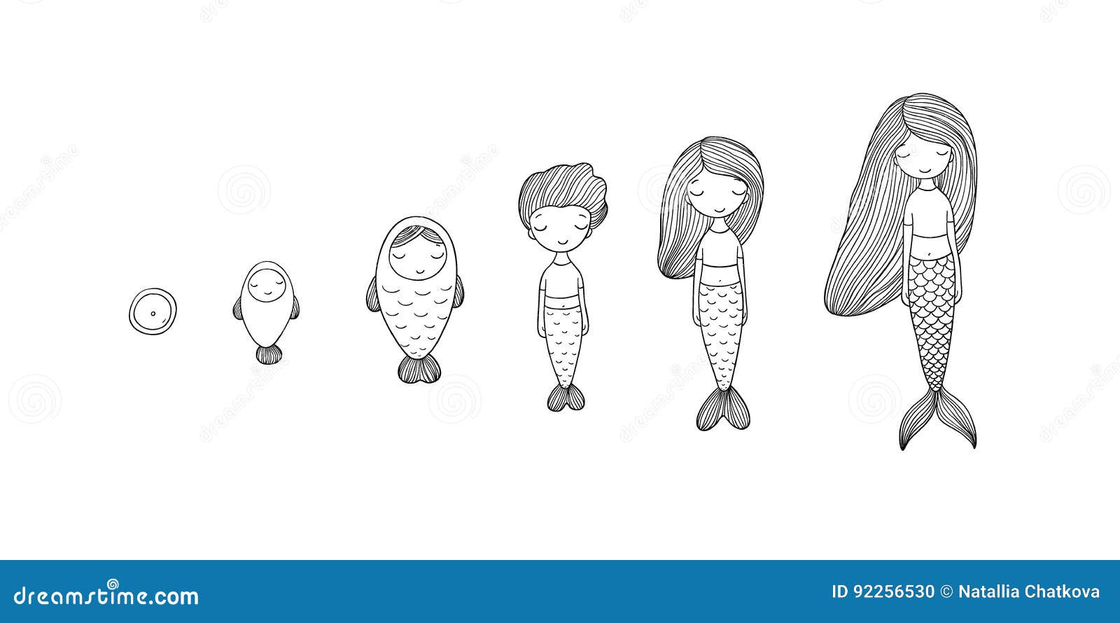 Stages Of Mermaid Development. Beautiful Siren. Cartoon Vector ...