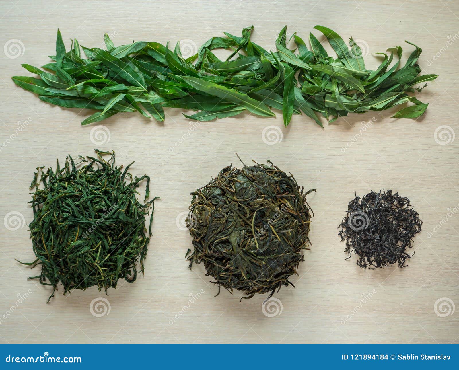 Stages of Production of Fermented Tea Leaves. Fermented Ivan-tea. Stock ...