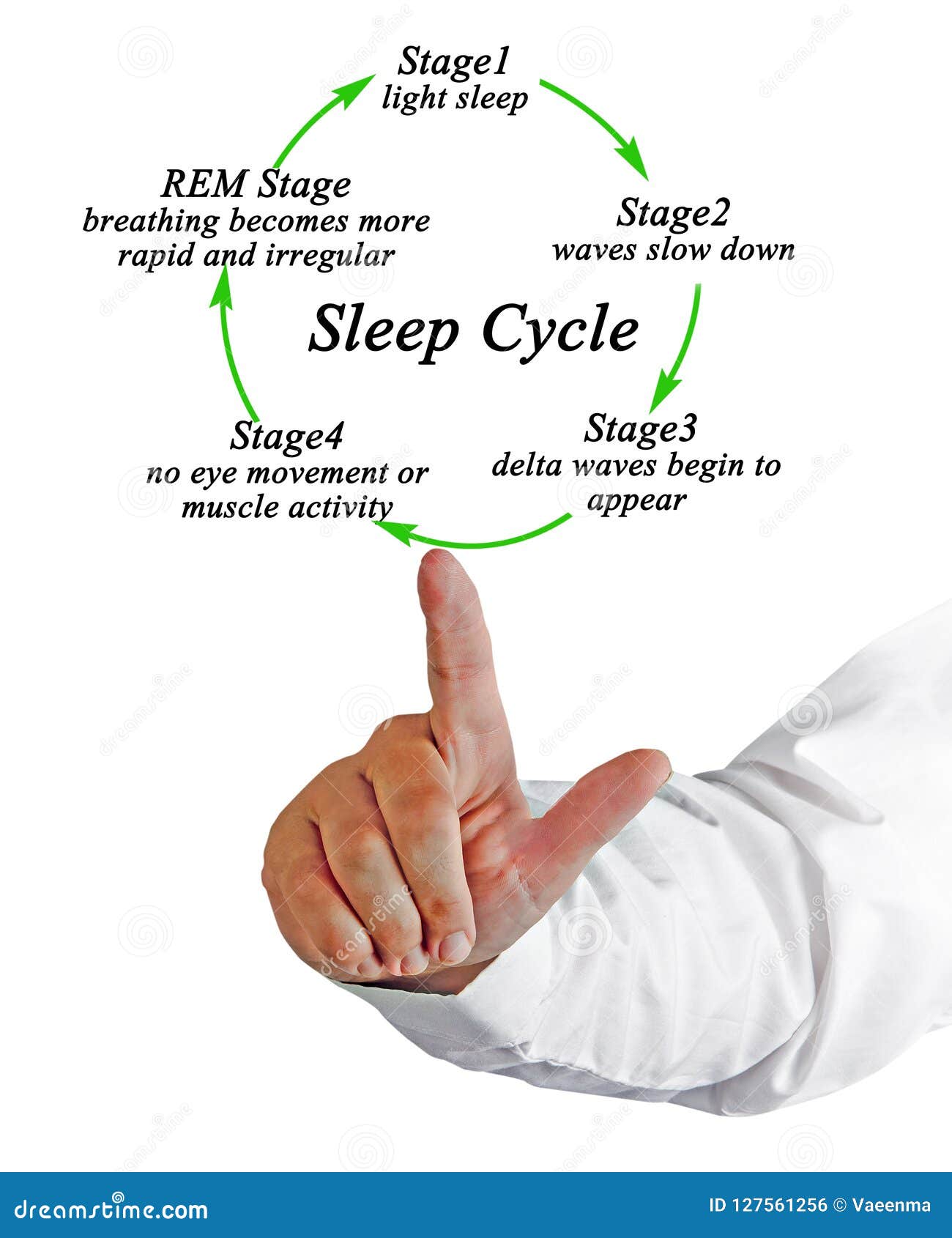 Irregular Sleep Wake Rhythm And A Human Brain Stock Photo ...
