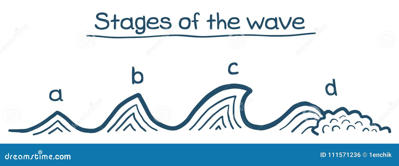 Stages of the Waves, Surfing Theory. Vector Doodle Image. Stock Vector ...