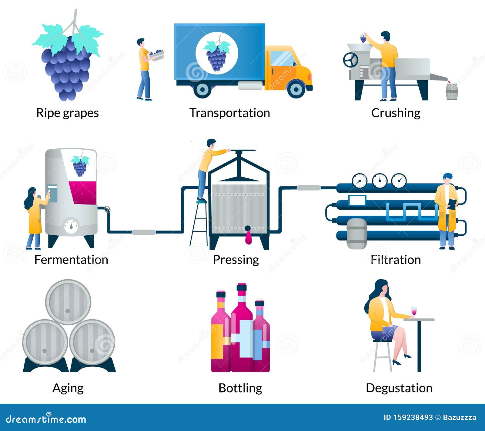 Stages of Wine Making Process, Vector Isolated Illustration Stock ... Stages of Wine Making Process, Vector Isolated Illustration Stock ...