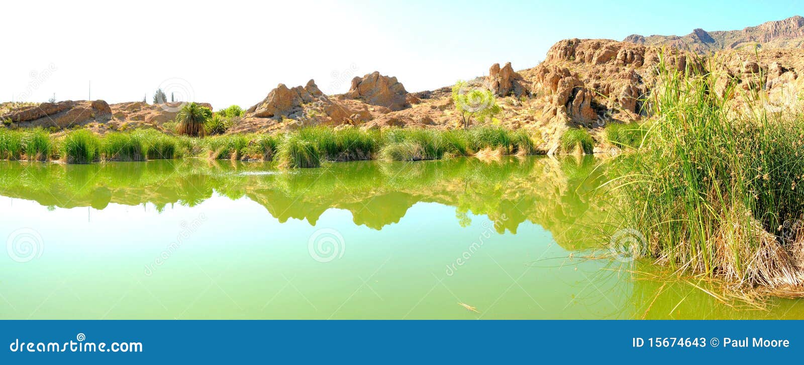 Stagnant Desert Pond Panorama Stock Image - Image of reflection, pastel ...