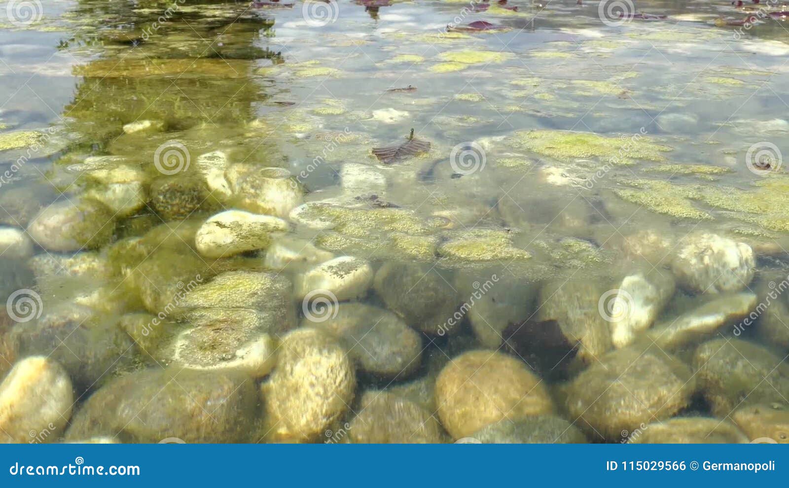 Stagnant Water in the Fountain Stock Footage - Video of rock, surface ...