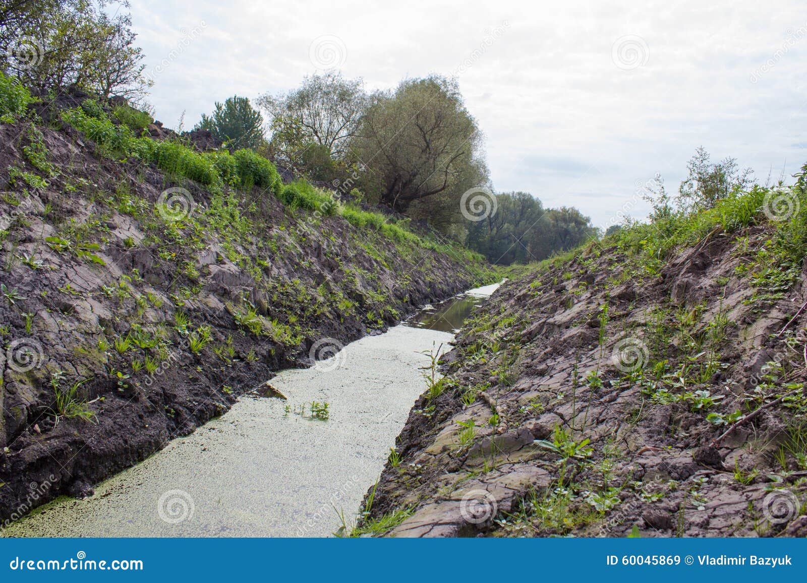 Stagnant water stock image. Image of nature, flow, drought - 60045869