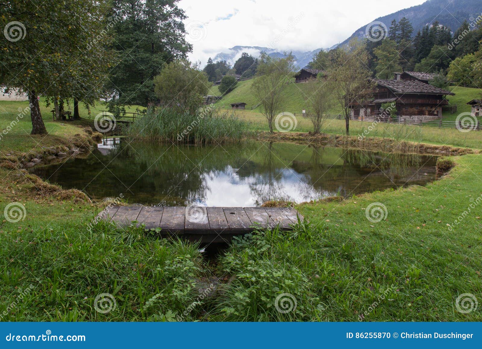 Stagno fotografia stock. Immagine di stagno, fogliame - 86255870