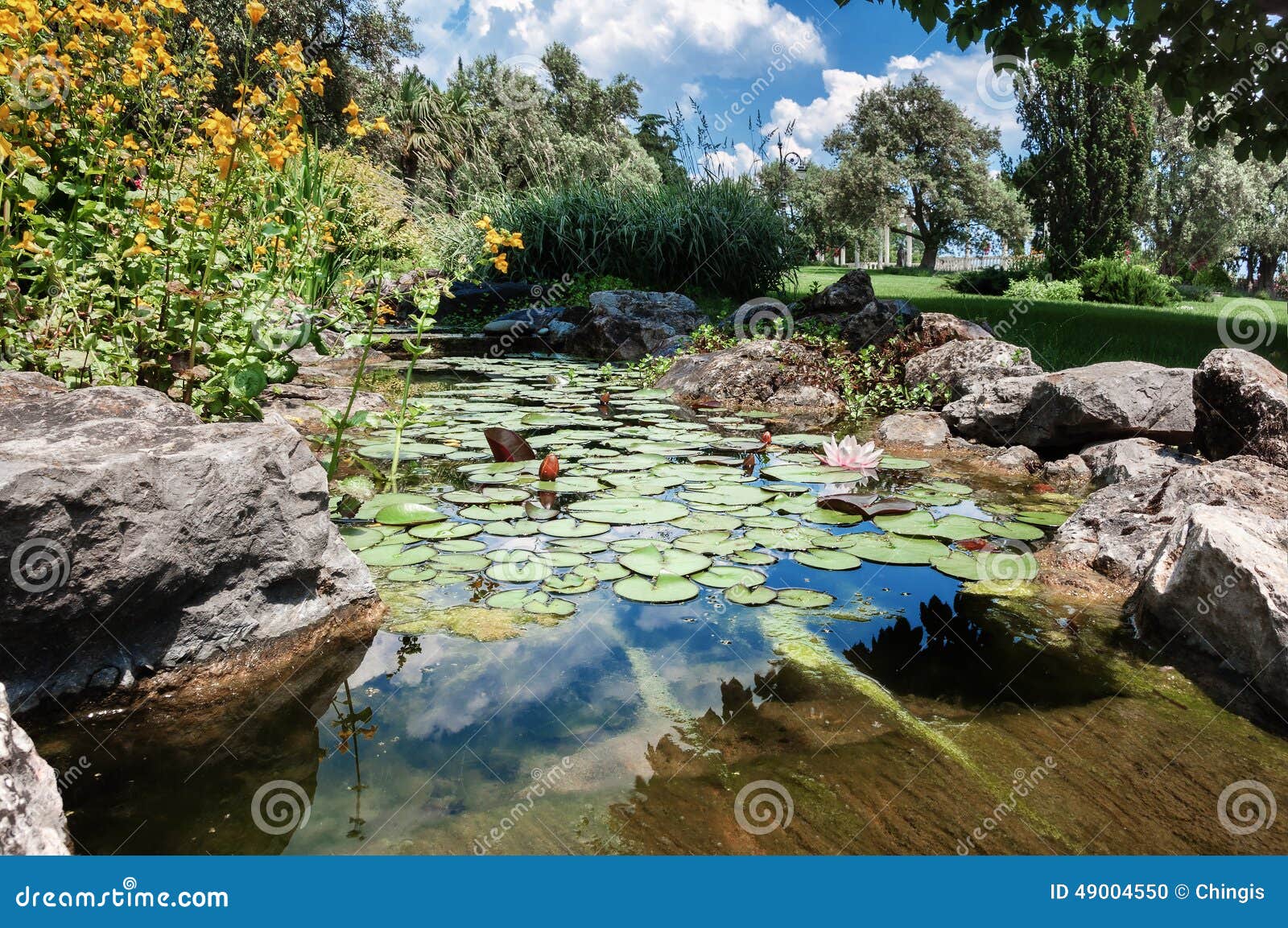 Stagno Con Le Ninfee in Un Parco Dello Stagno Fotografia Stock ...