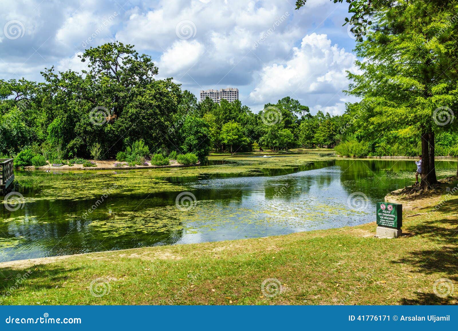 Stagno - Immagine Di Riserva Immagine Stock - Immagine di autunno ...