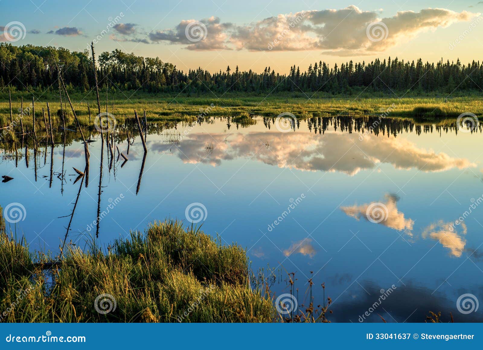 Stagno Tranquillo, Foresta Boreale, Tramonto Immagine Stock - Immagine ...