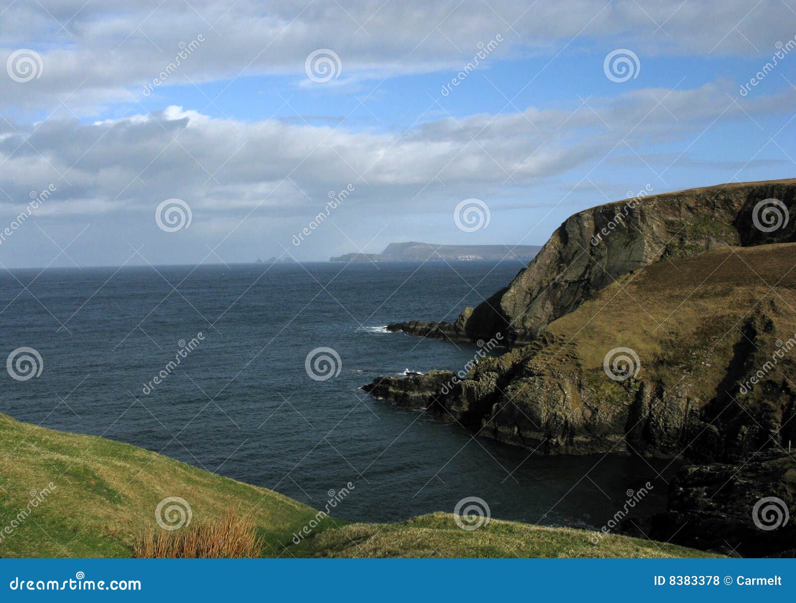 Stags of Broadhaven stock photo. Image of belmullet, west - 8383378