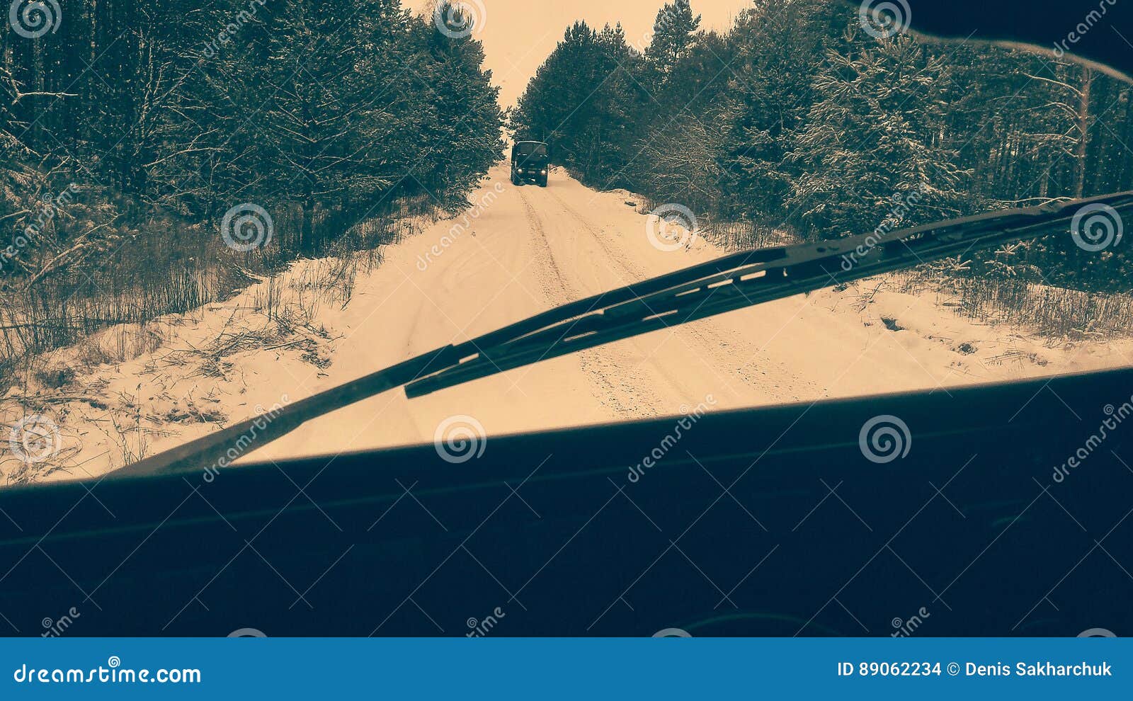Staid in the forest stock photo. Image of road, staid - 89062234