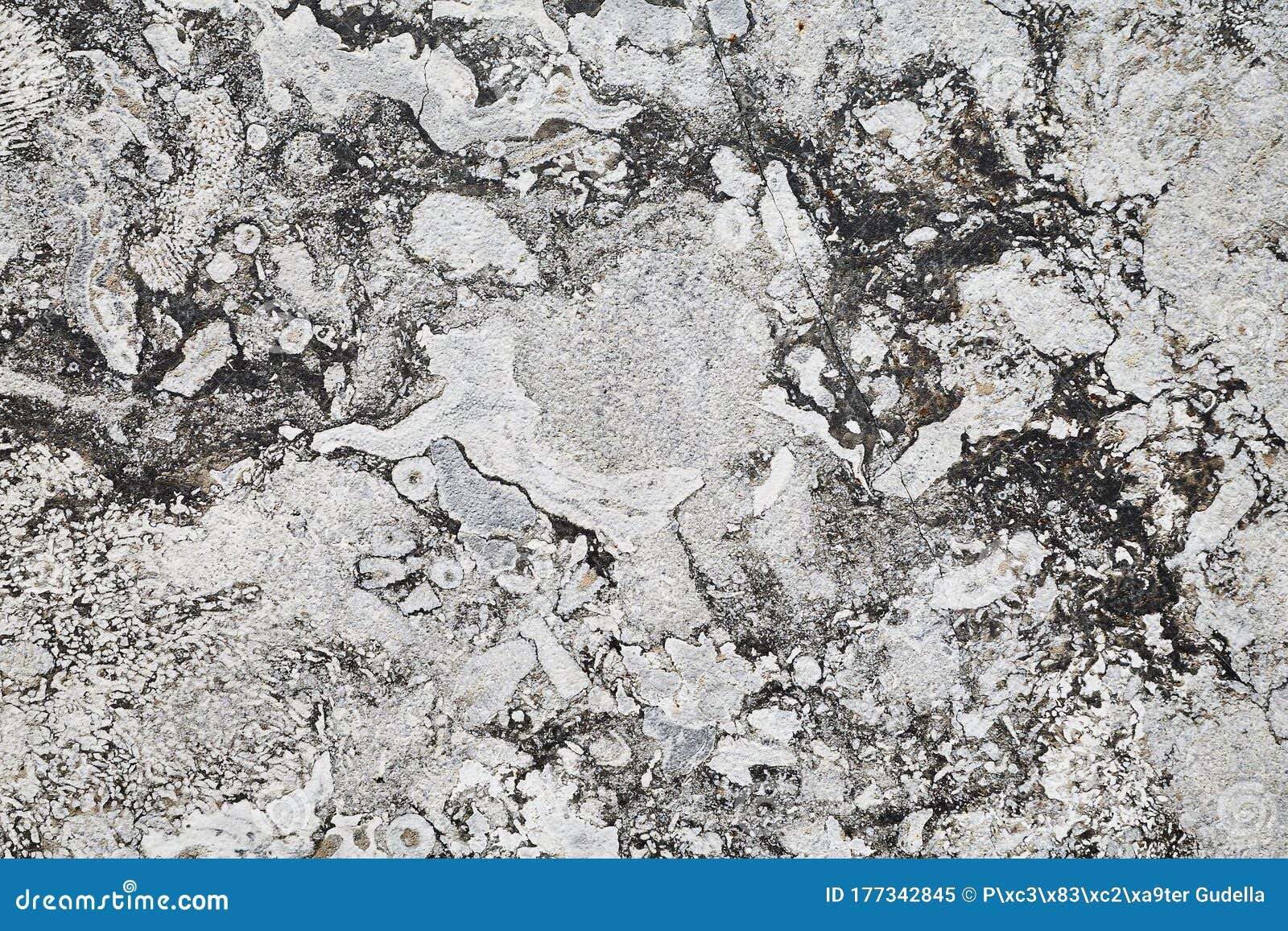 Stain Concrete Wall Rough Texture Stock Image - Image of ruin ...